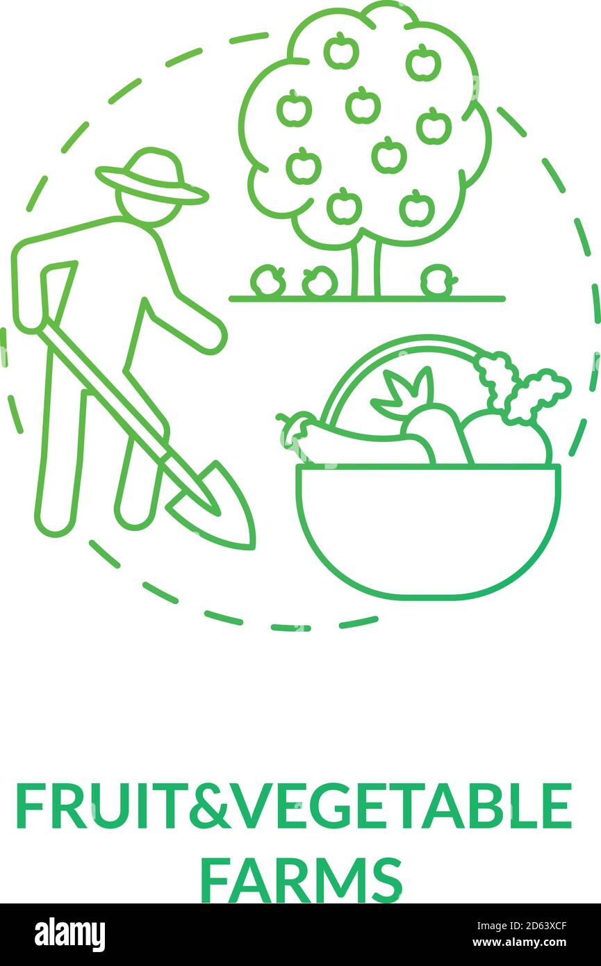 Fruit and vegetable farms concept icon Stock Vector Image & Art - Alamy