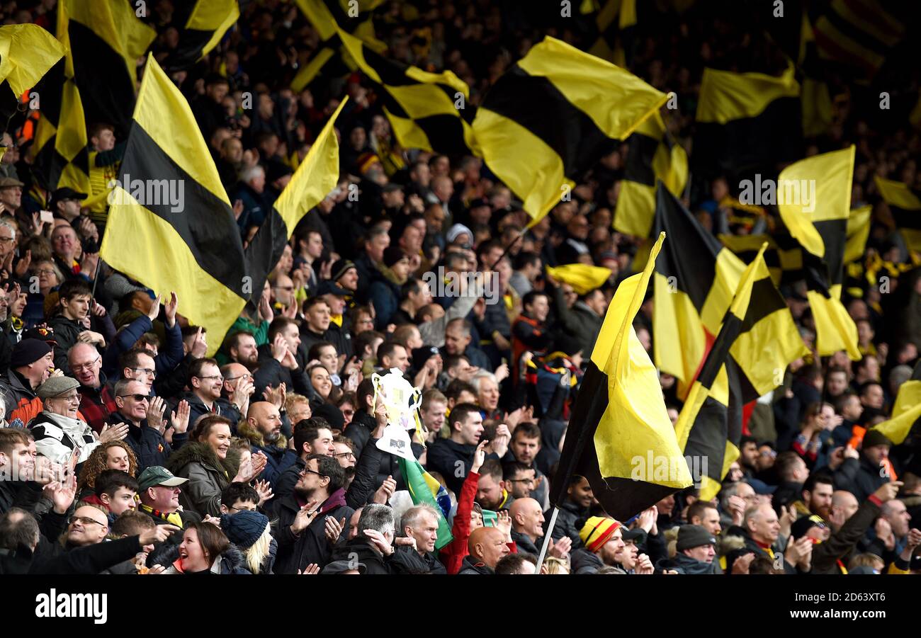 Watford fan in stands hi-res stock photography and images - Alamy