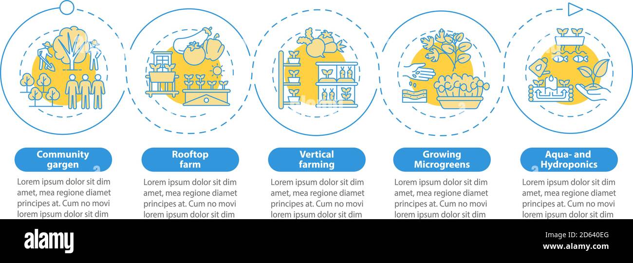 Urban farming vector infographic template Stock Vector Image & Art - Alamy