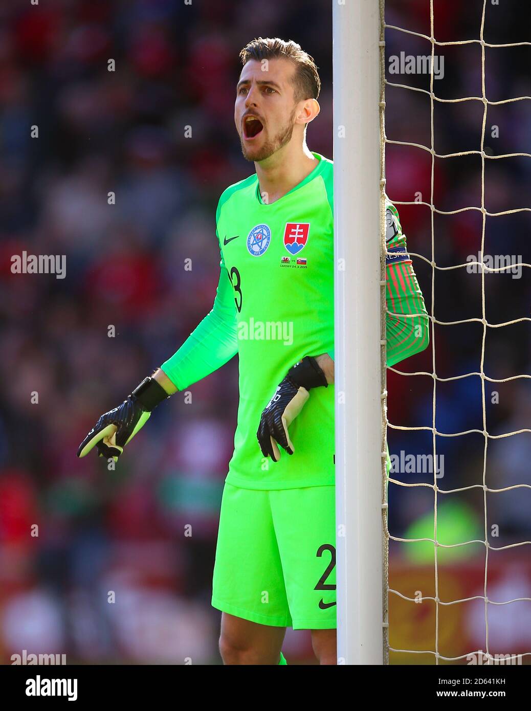 Slovakia goalkeeper hi-res stock photography and images - Alamy