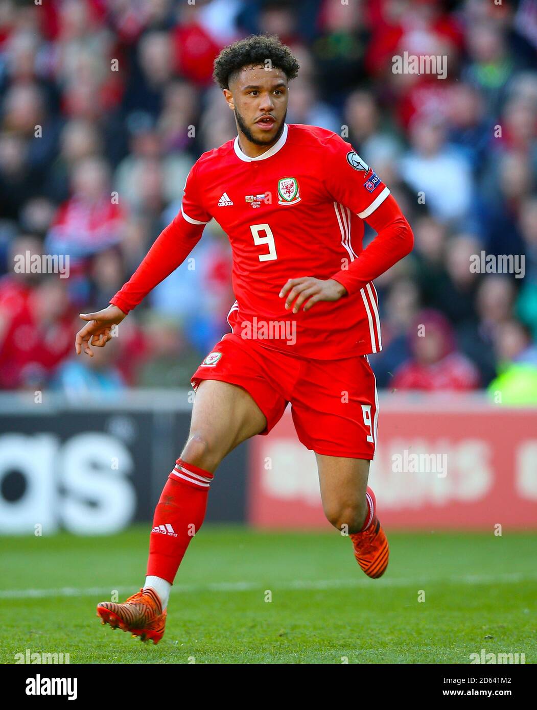 Wales' Tyler Roberts Stock Photo - Alamy