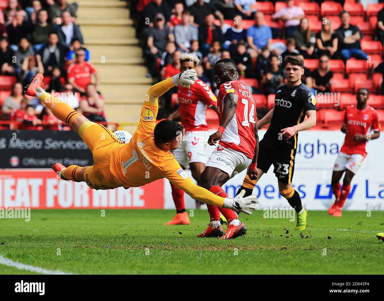 Richard odonnell charlton hi-res stock photography and images - Alamy