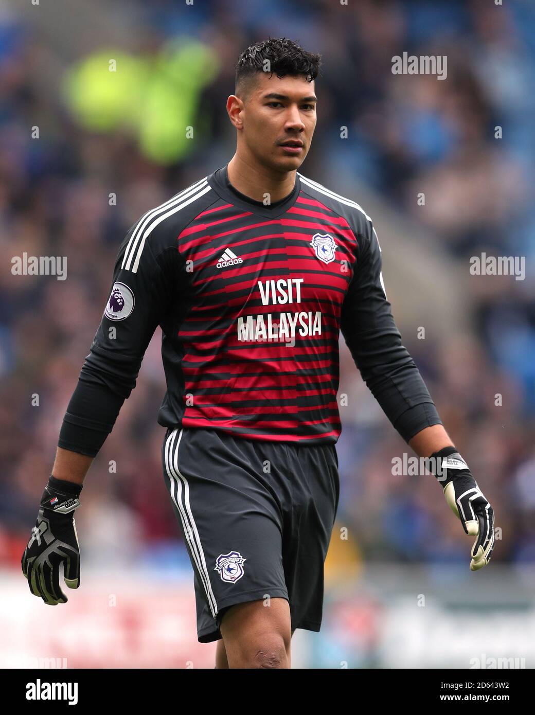 Soccer football ccfc cfc hi-res stock photography and images - Alamy