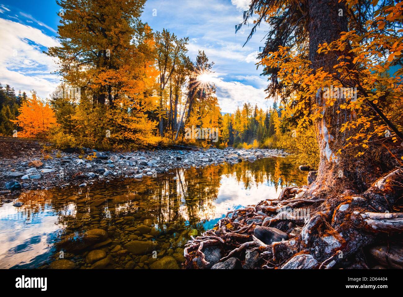 Manning Park Creek stunning Autumn colors Stock Photo - Alamy