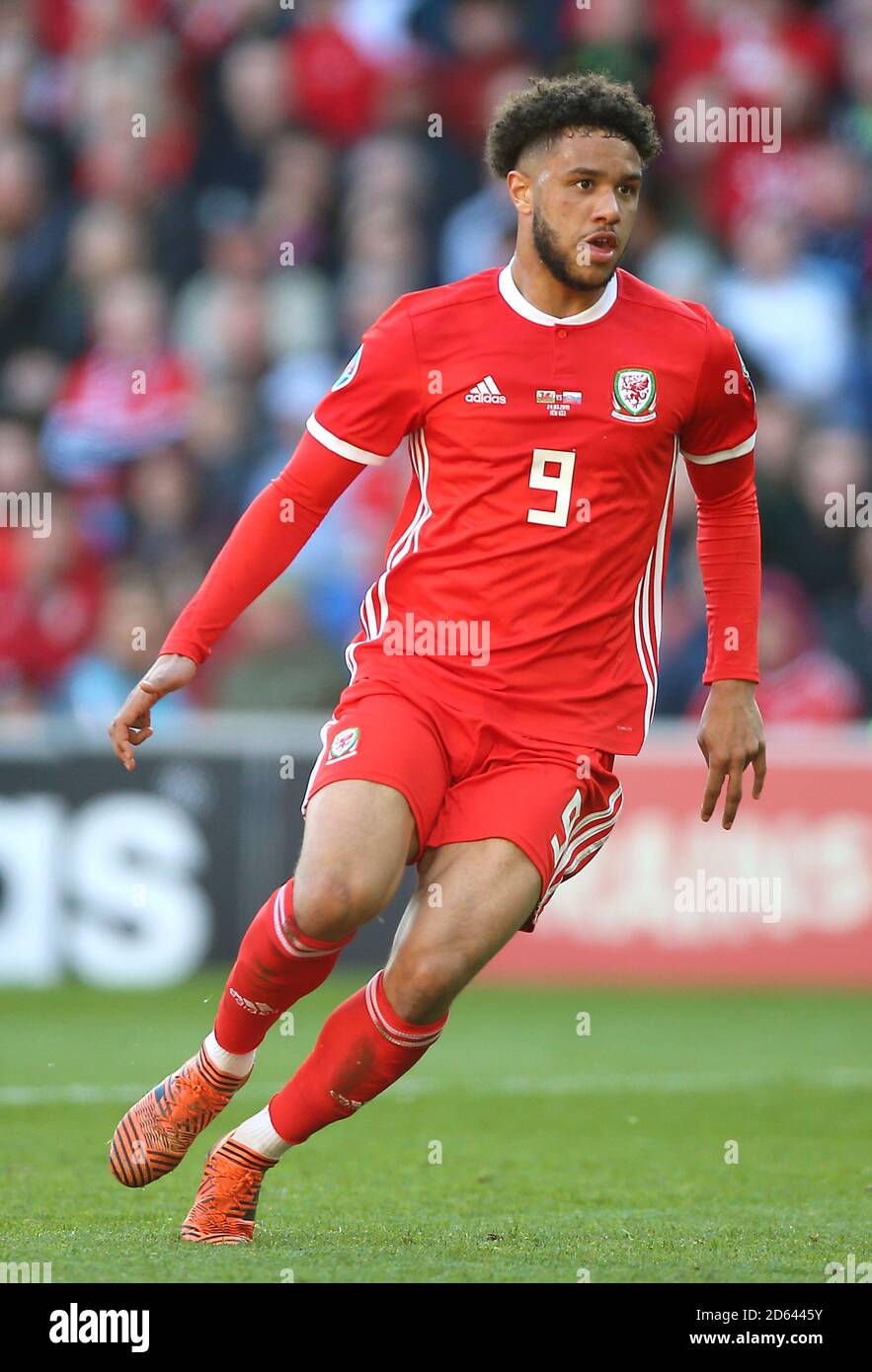 Wales tyler roberts hi-res stock photography and images - Alamy