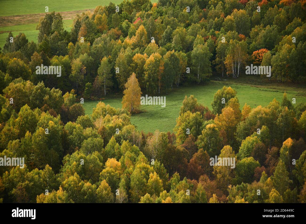 A top view of colourful forest trees and lake in the autumn season ...