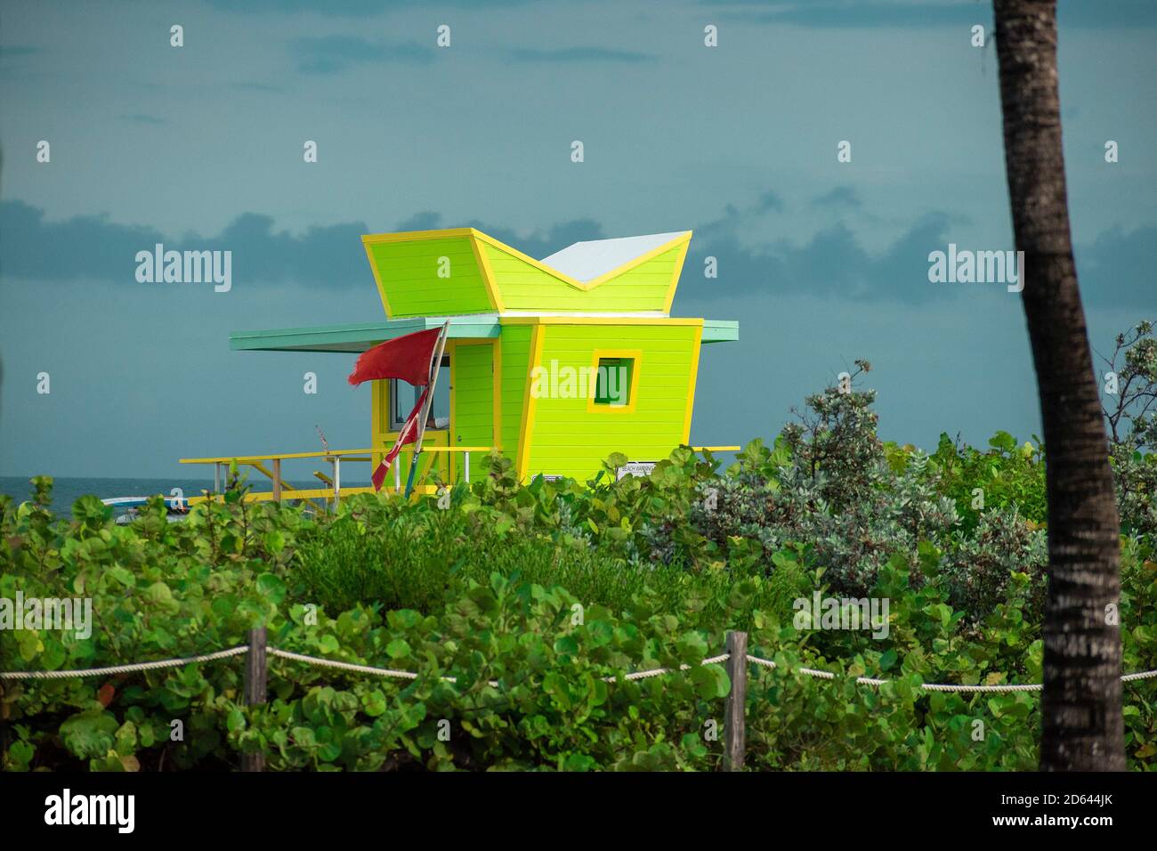 beautiful lifeguard house with beautiful colors in the middle of grape ...