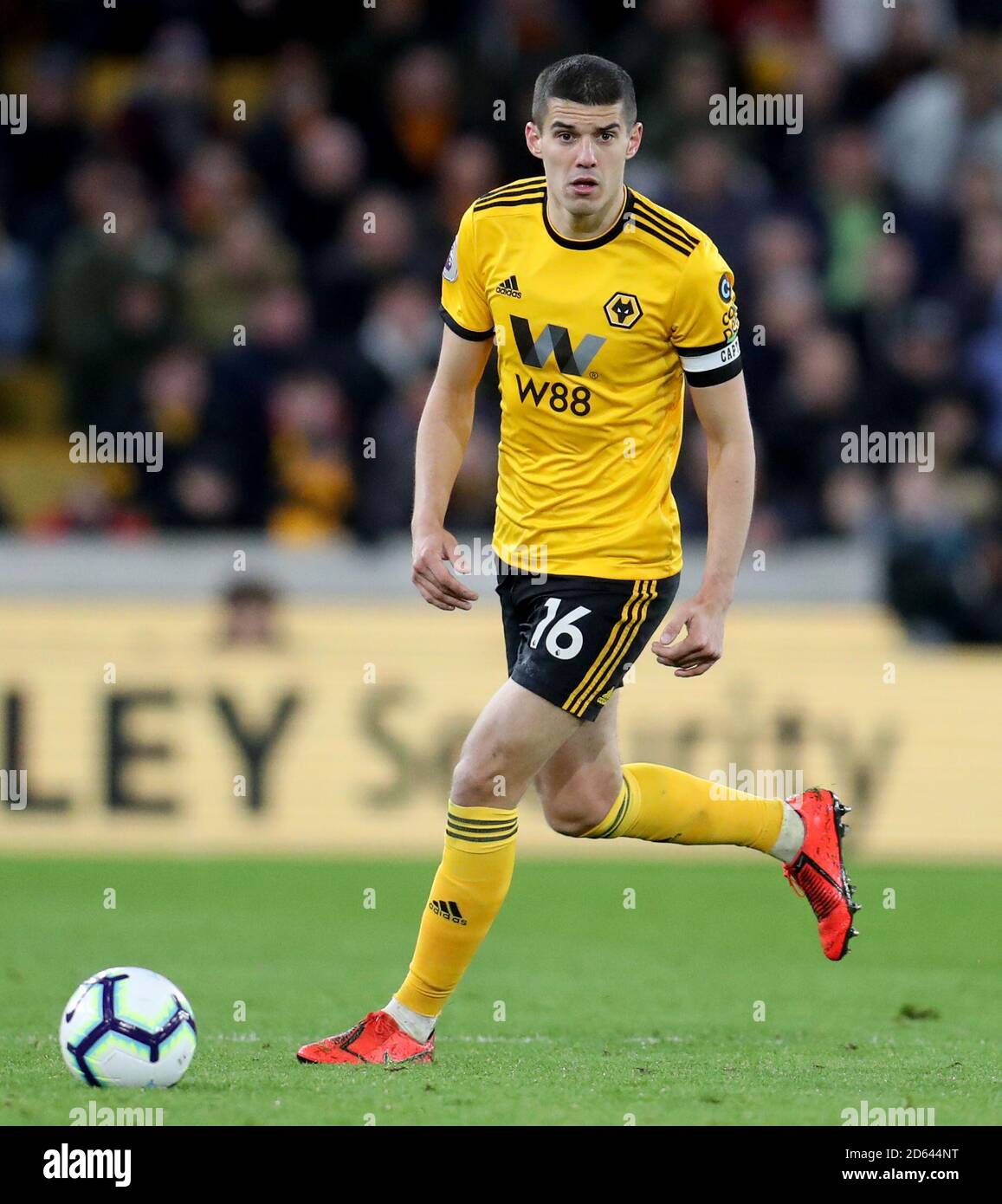 Danny batth wolves hi-res stock photography and images - Alamy