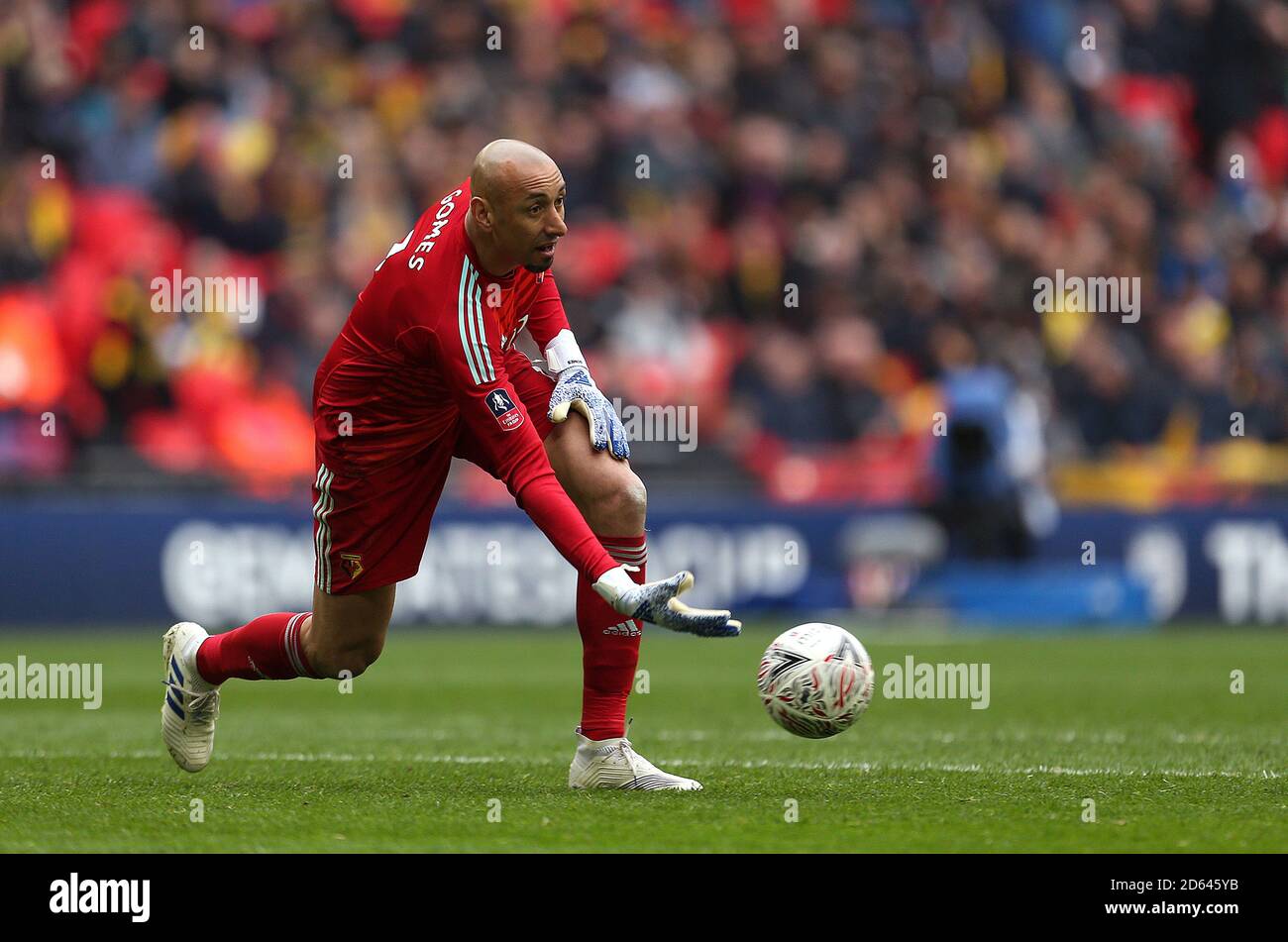 Watford goalkeeper Heurelho Gomes in action Stock Photo - Alamy