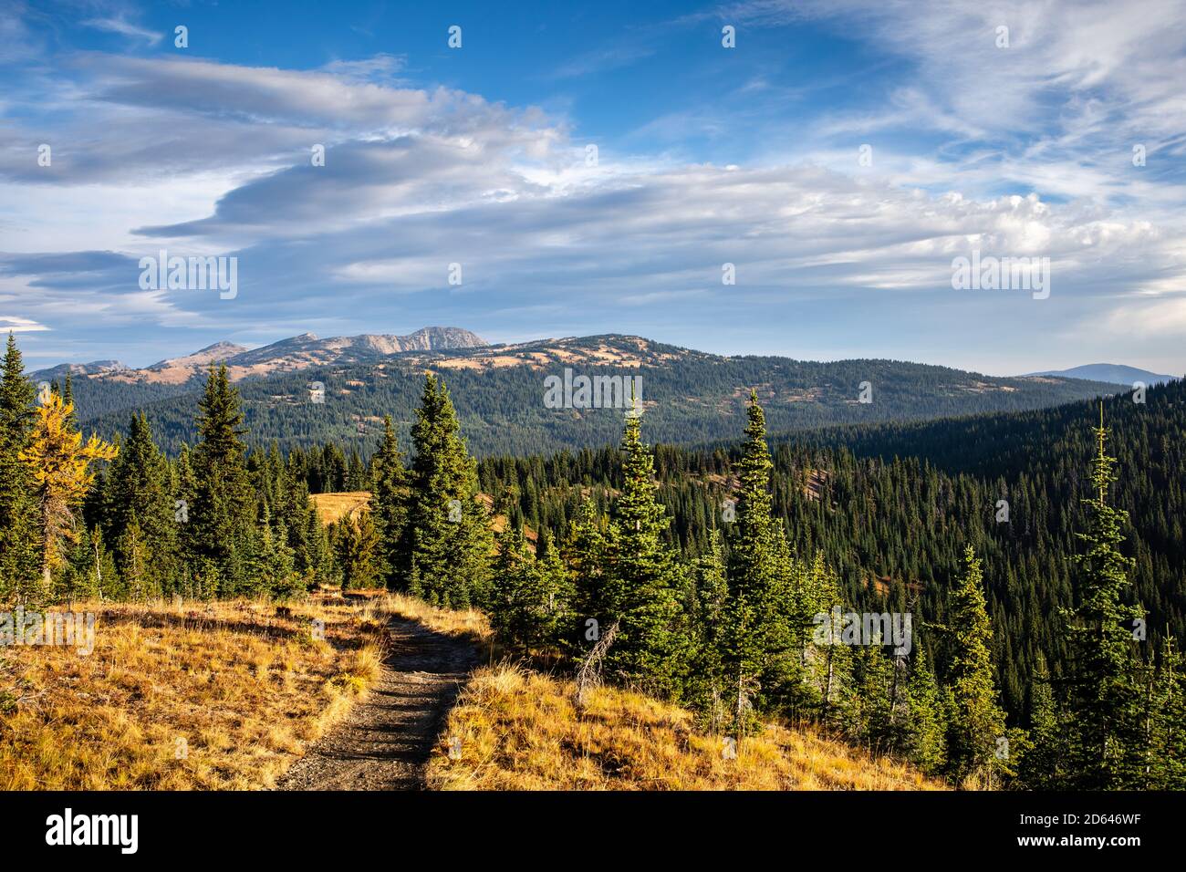Manning park hi-res stock photography and images - Alamy