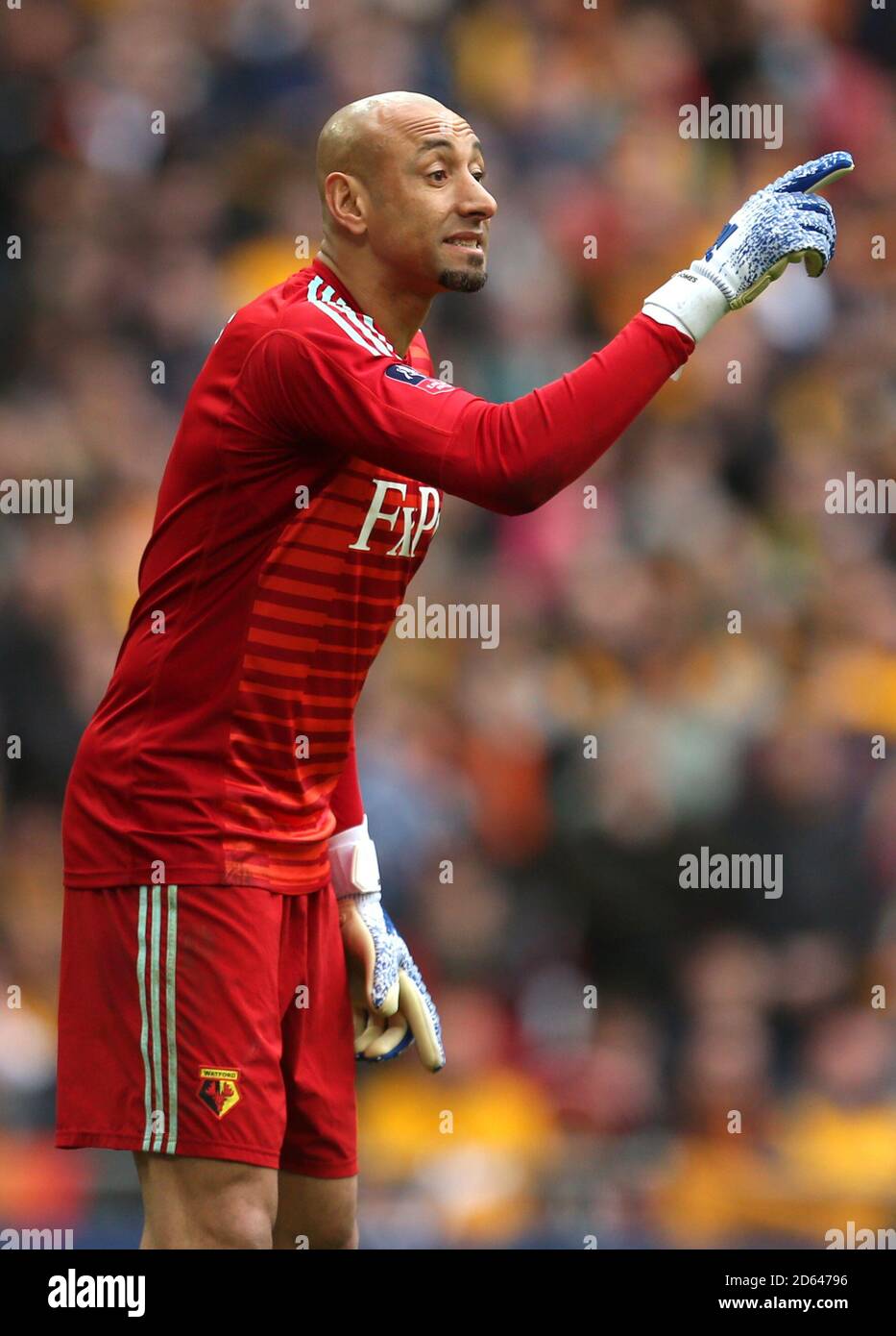 Watford goalkeeper Heurelho Gomes Stock Photo - Alamy