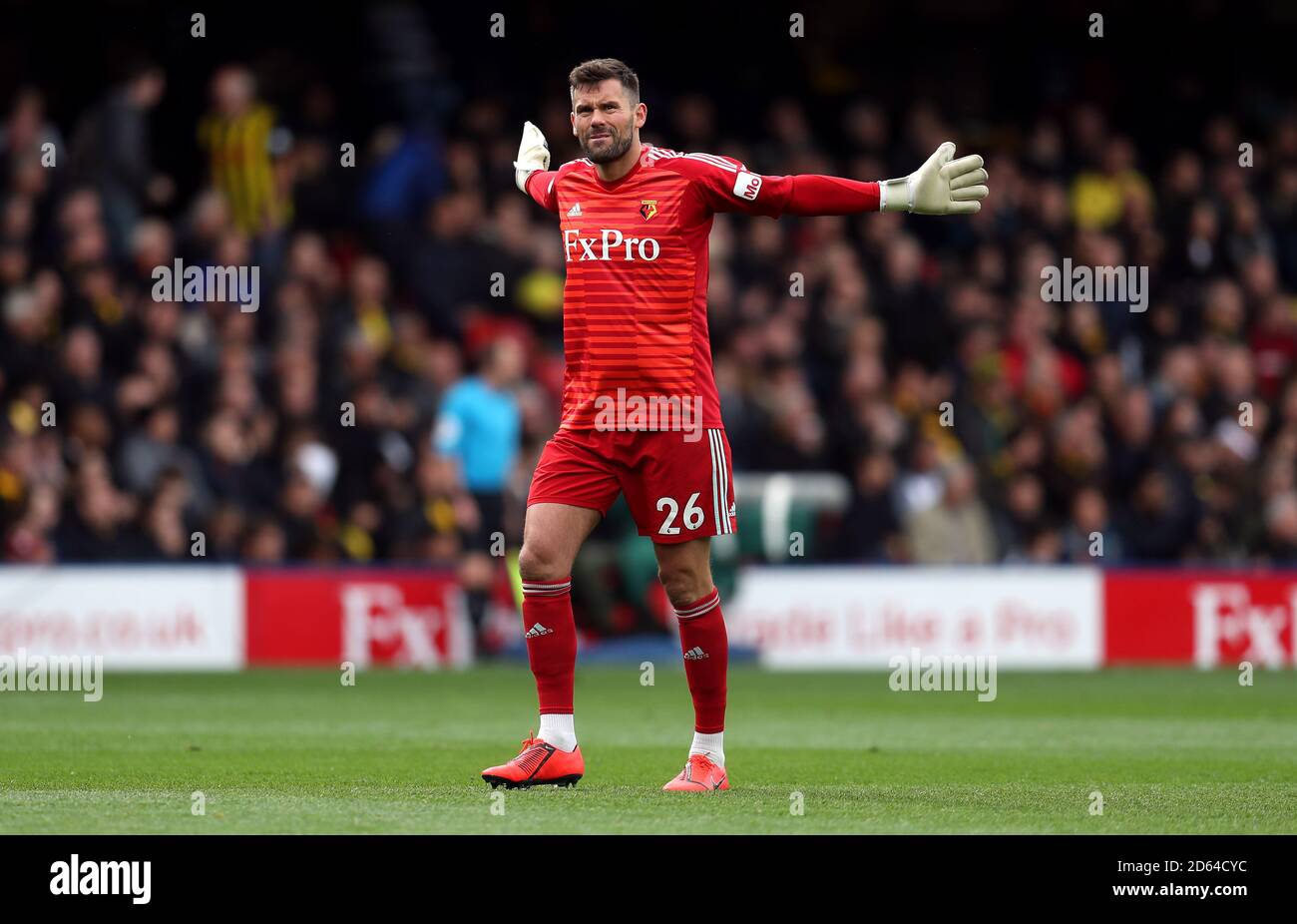 Watford goalkeeper Ben Foster Stock Photo - Alamy