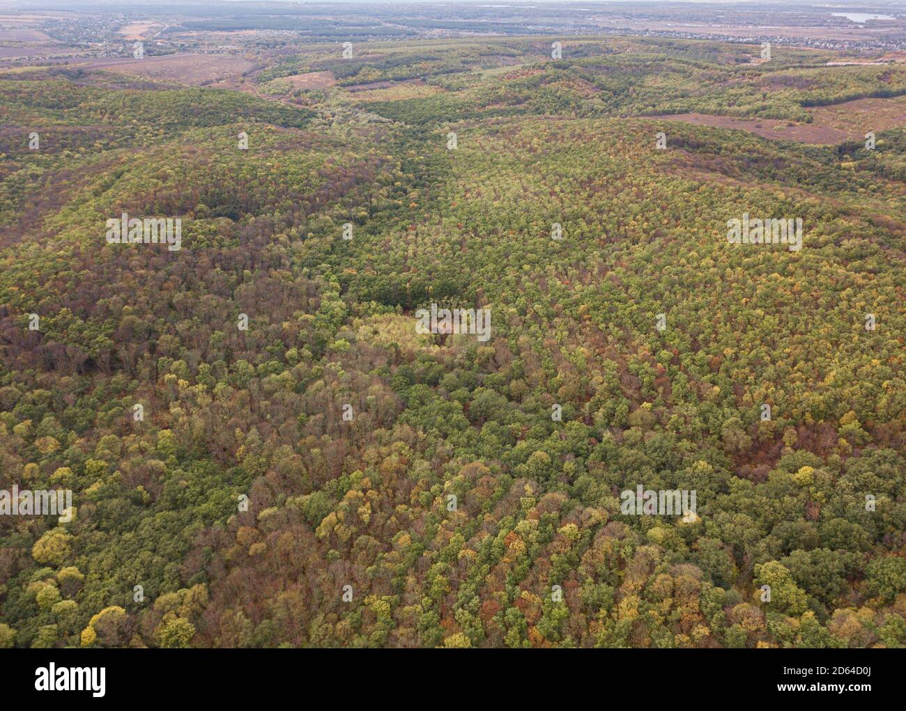 Aerial Photo of a colored forest in autumn Stock Photo - Alamy