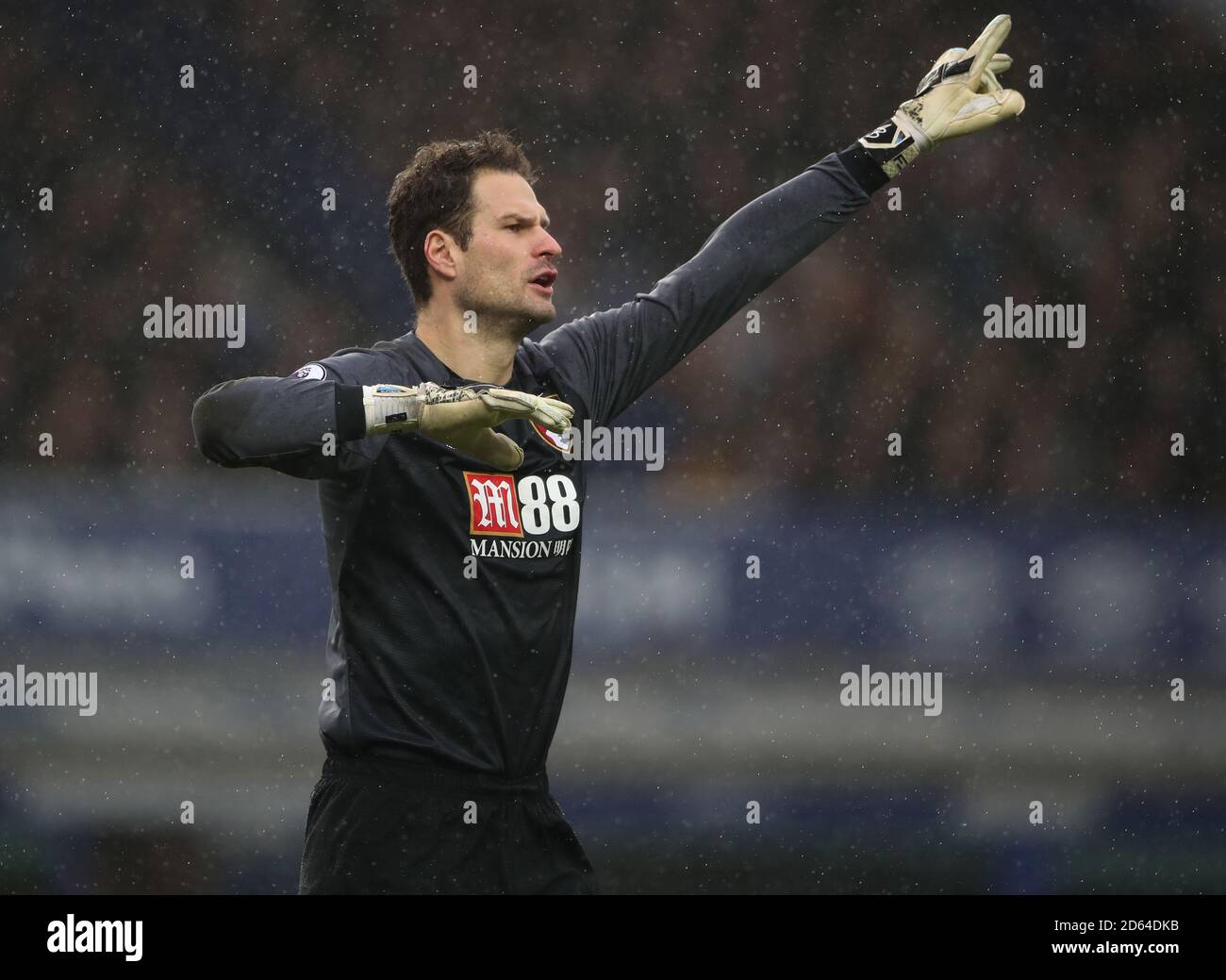 Bournemouth goalkeeper Asmir Begovic Stock Photo - Alamy