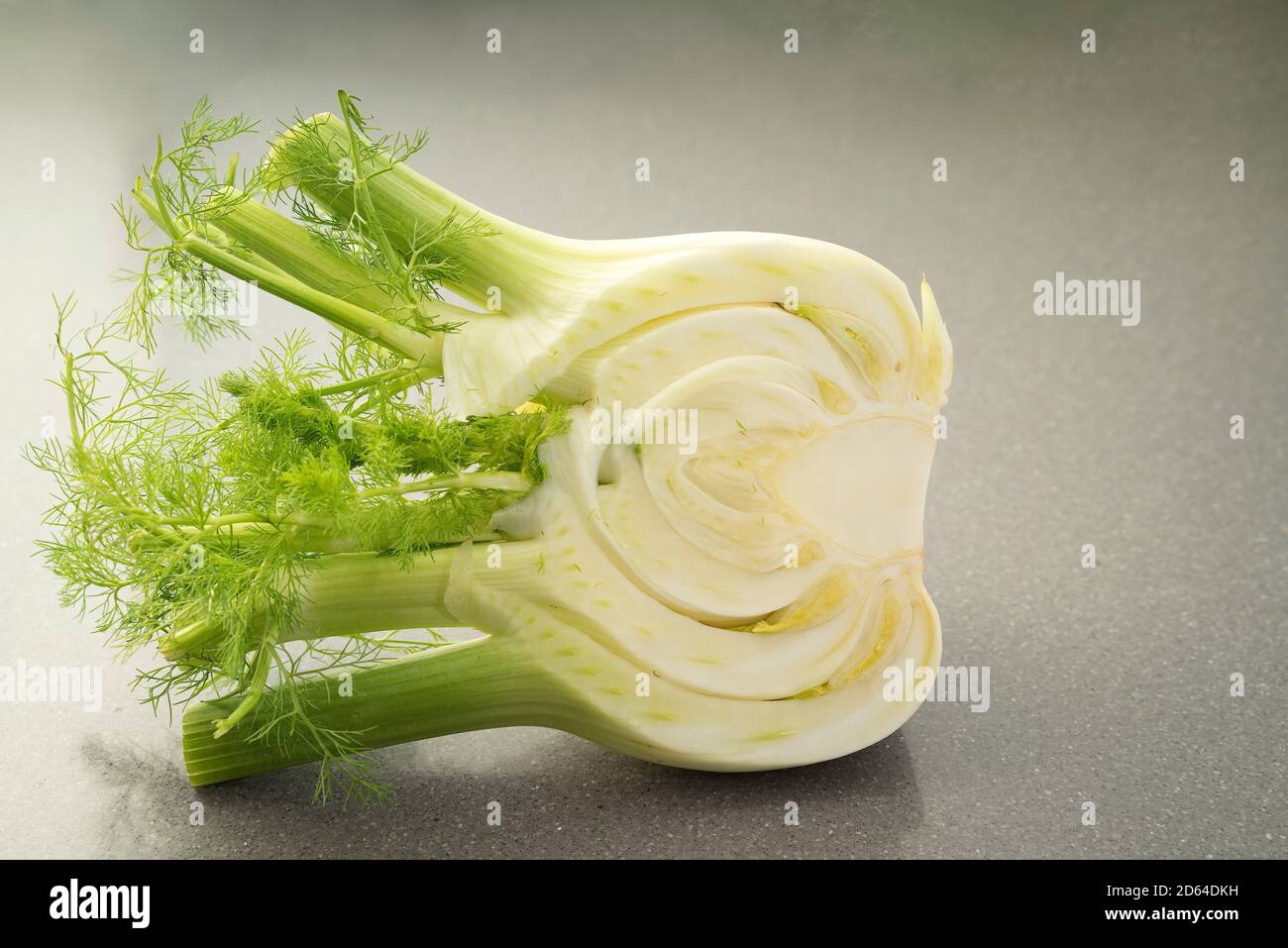 A Single cut through fresh fennel bulb with leaves on grey stone ...