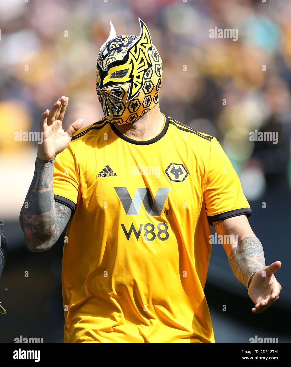 Wolverhampton wanderers fans show hi-res stock photography and images ...