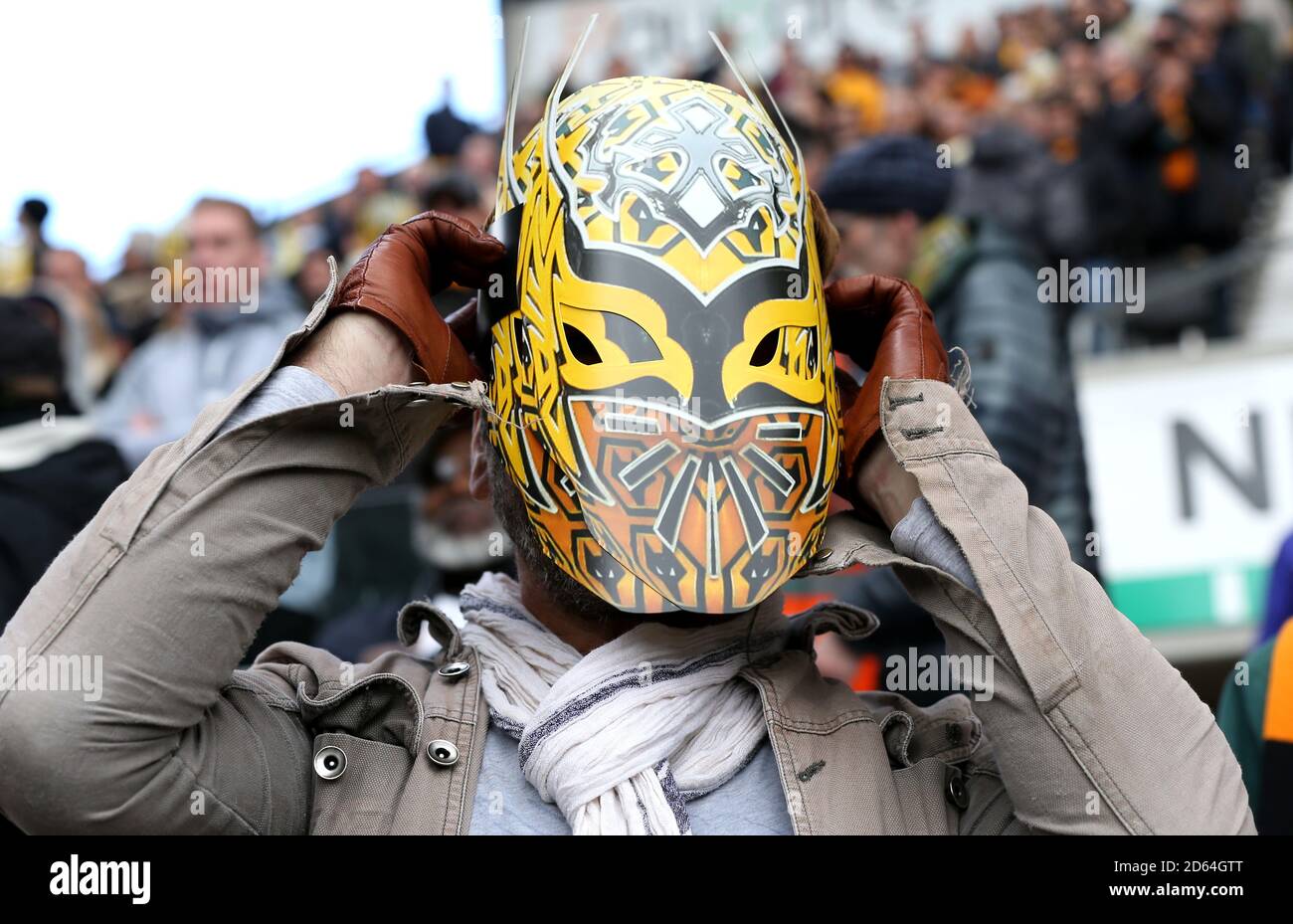 Wolverhampton wanderers fans show hi-res stock photography and images ...
