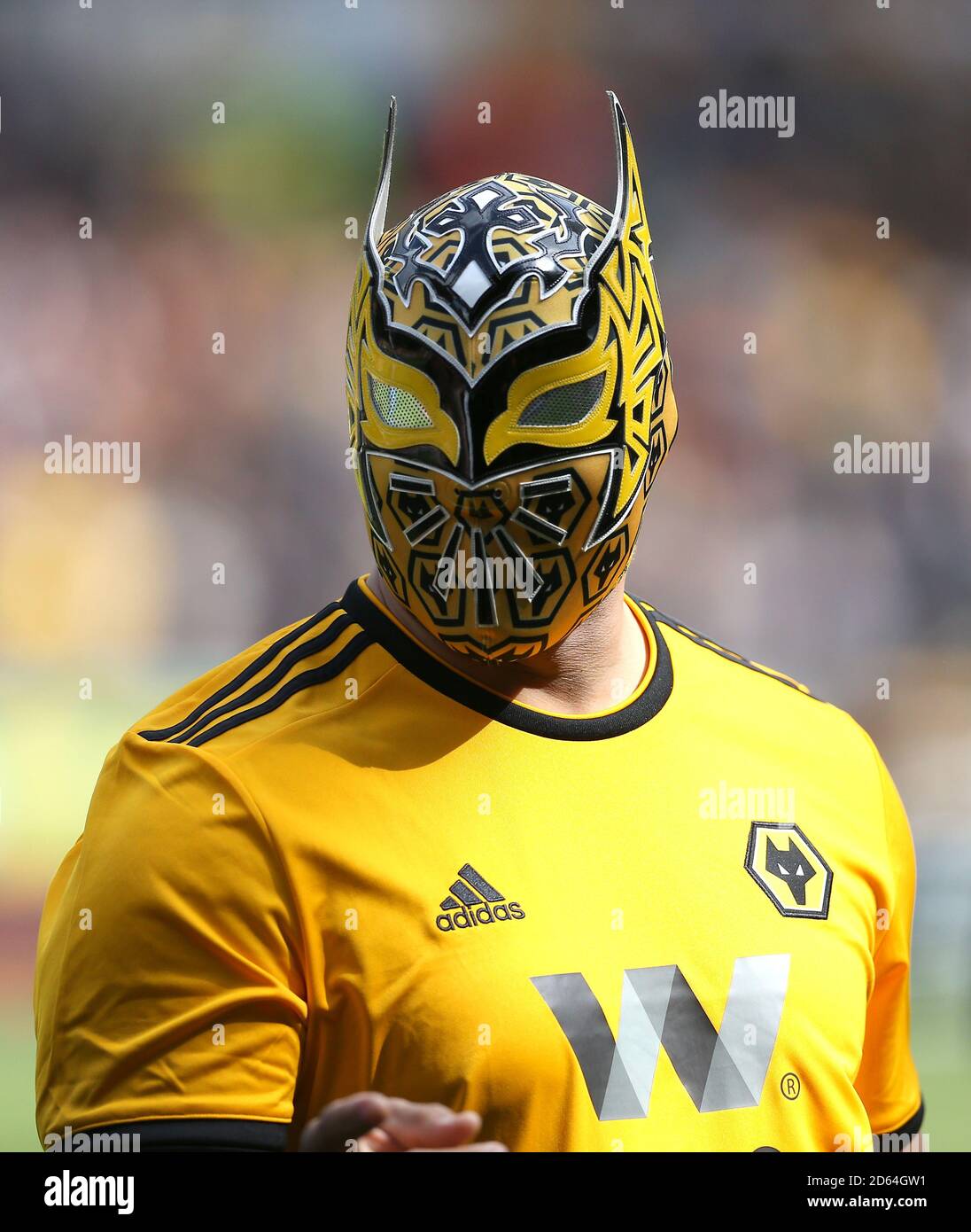 Wolverhampton wanderers fans show hi-res stock photography and images ...