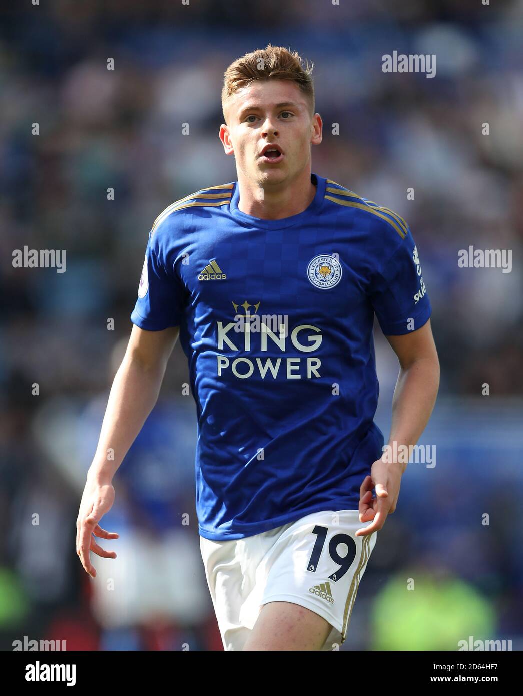 Harvey barnes leicester hi-res stock photography and images - Alamy