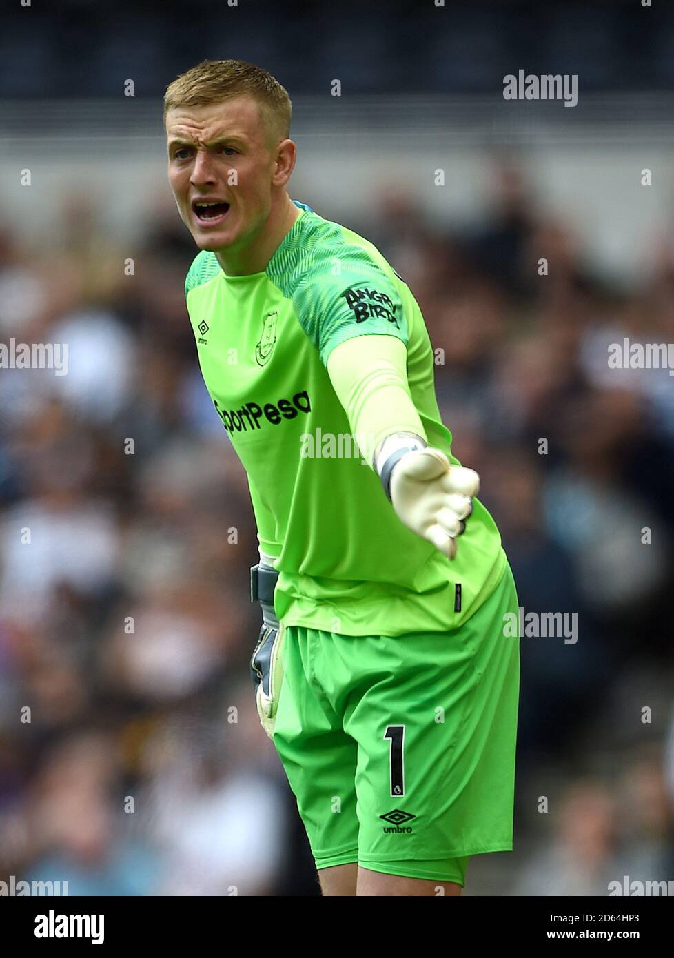 Everton goalkeeper Jordan Pickford Stock Photo - Alamy