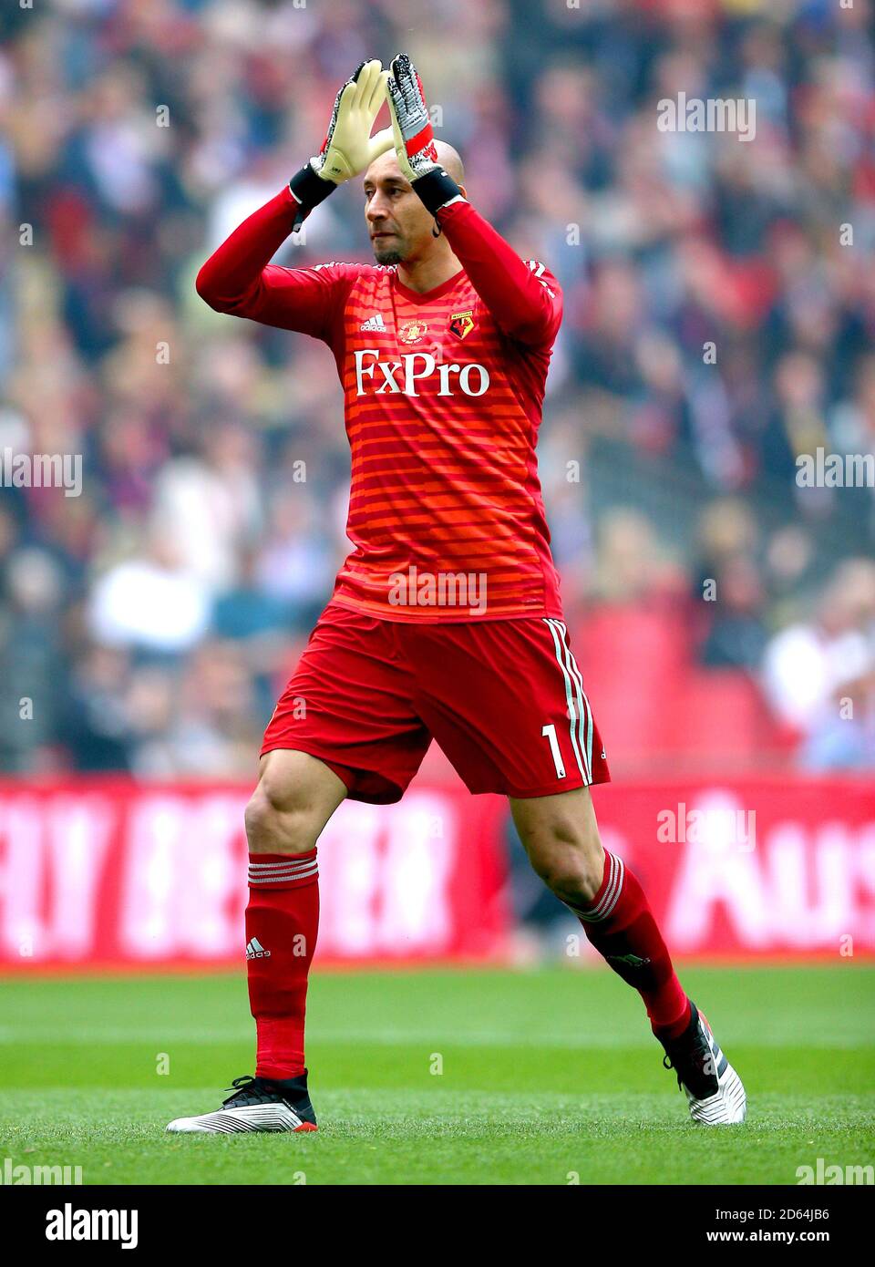 Watford goalkeeper Heurelho Gomes in action Stock Photo - Alamy