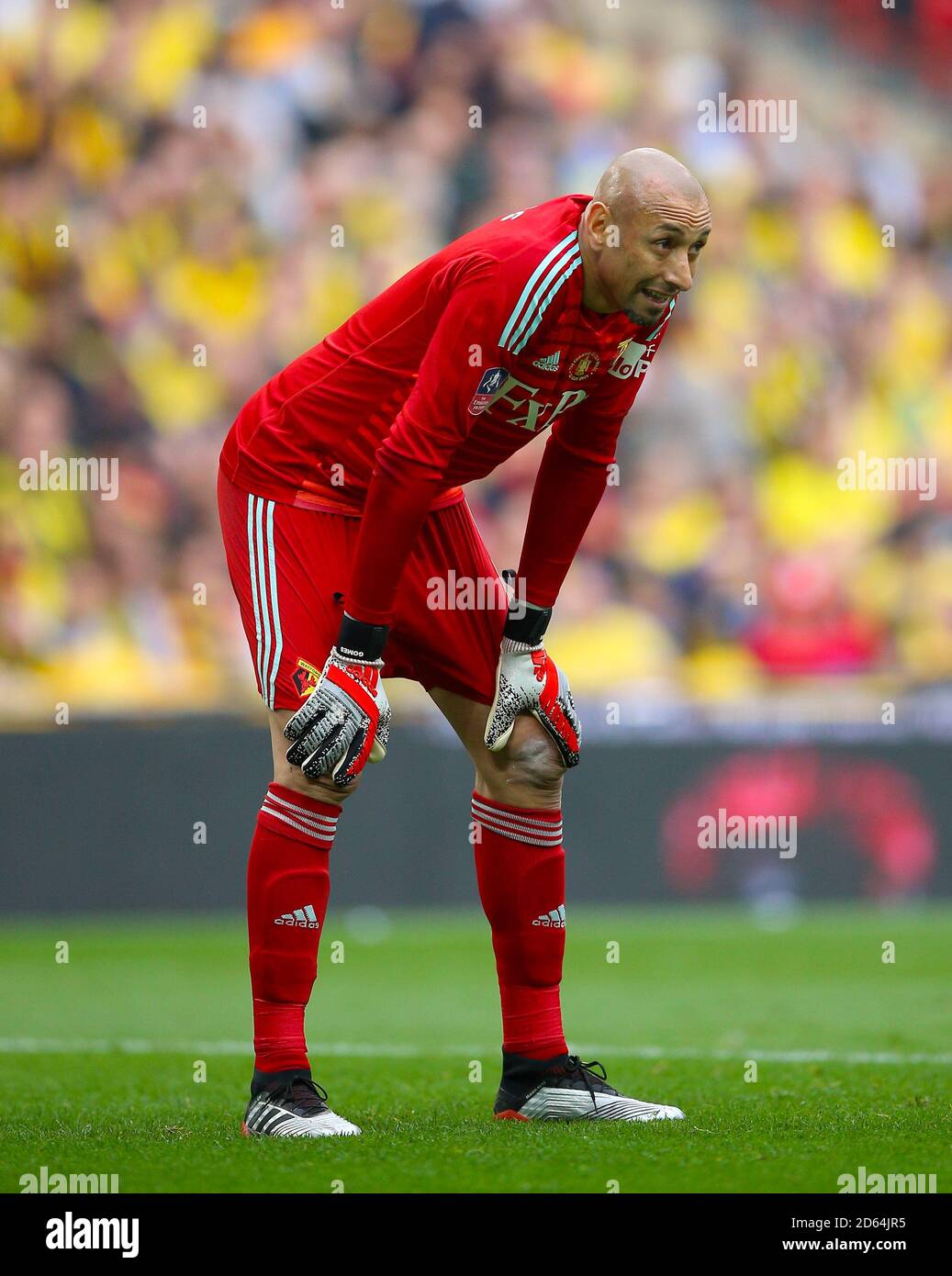 Watford goalkeeper Heurelho Gomes Stock Photo - Alamy