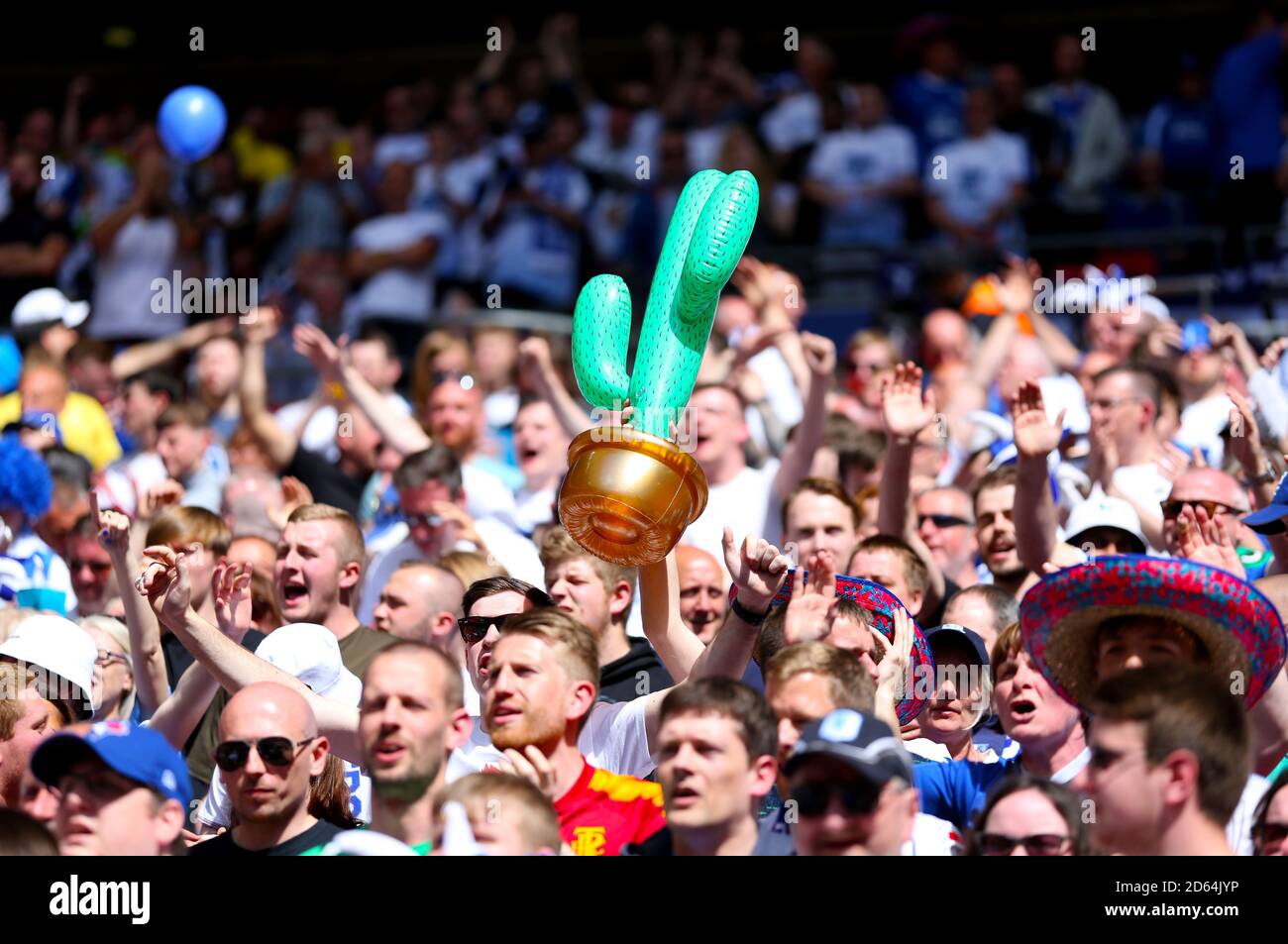 Fans wave an inflatable cactus in the stands Stock Photo - Alamy