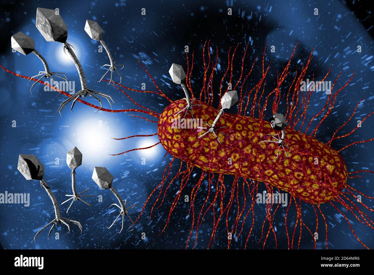 Closeup bacteriophage virus attacking bacteria cells 3D illustration ...