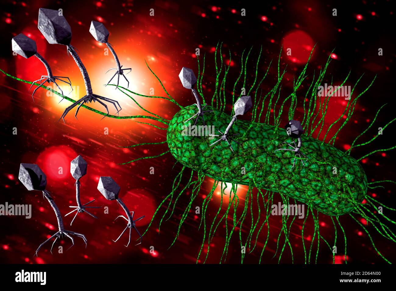 Closeup bacteriophage virus attacking bacteria cells 3D illustration ...