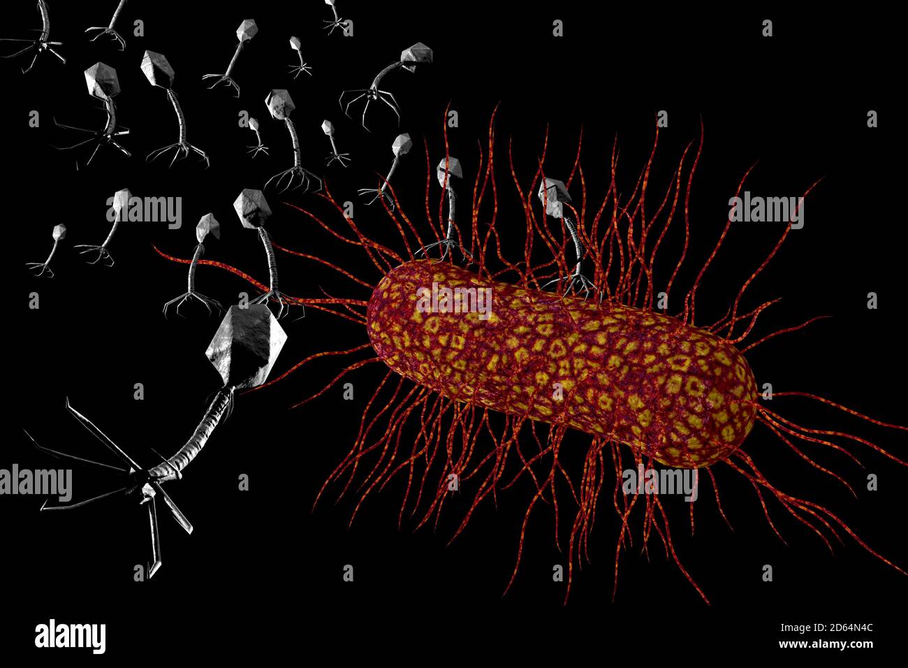 Closeup bacteriophage virus attacking bacteria cells 3D illustration ...