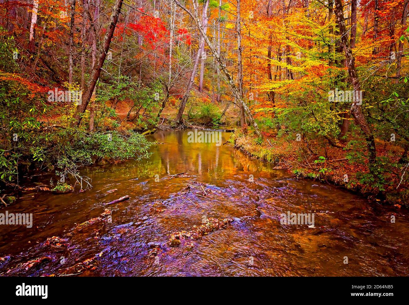 Fall foliage adds splashes of color at the trailhead to Abrams Falls ...