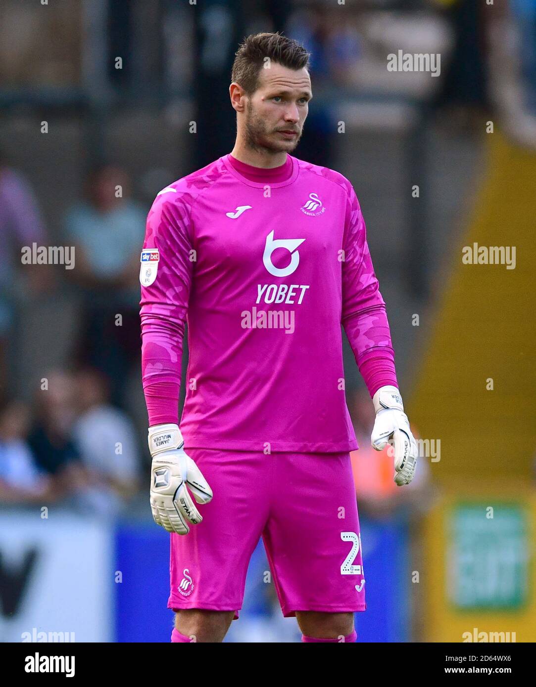 Swansea City goalkeeper Erwin Mulder Stock Photo - Alamy