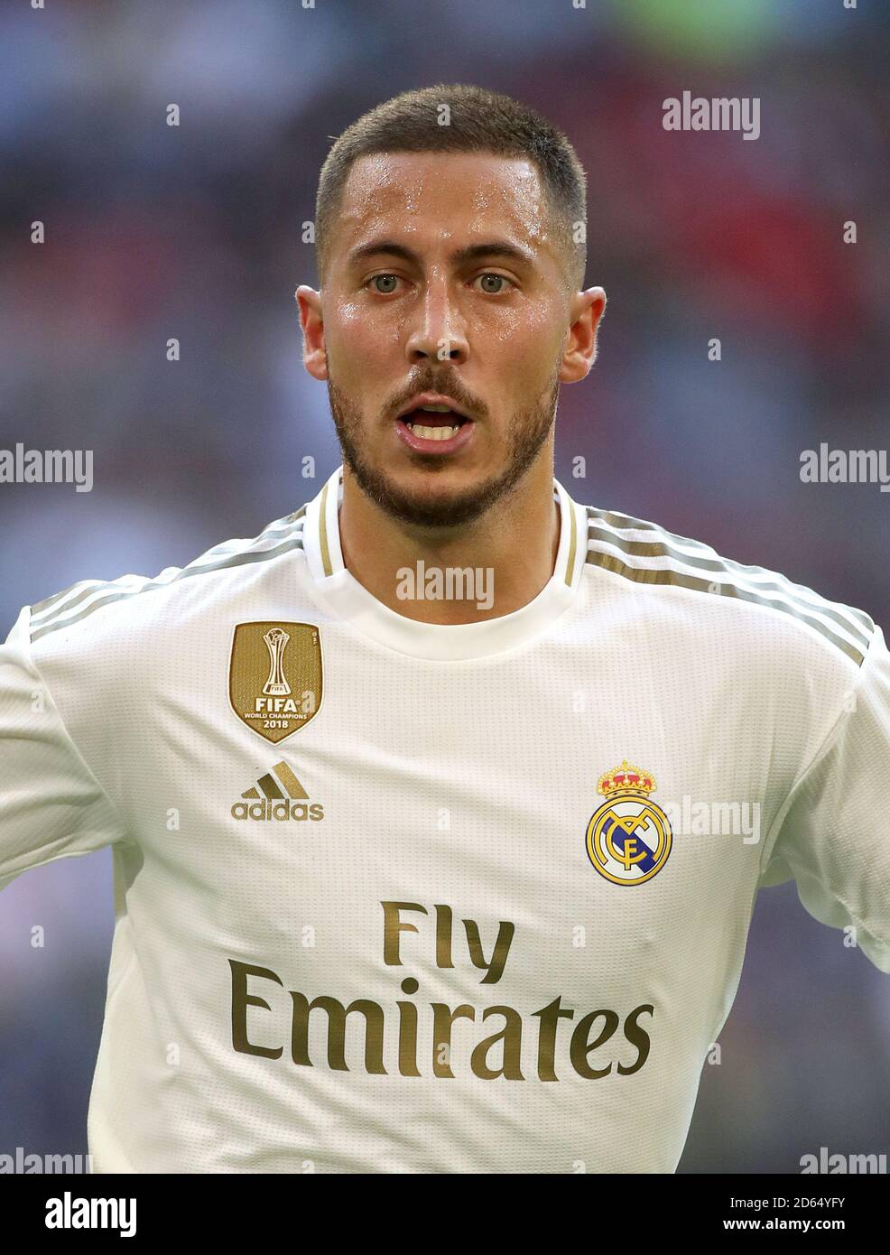 Eden hazard portrait hi-res stock photography and images - Alamy