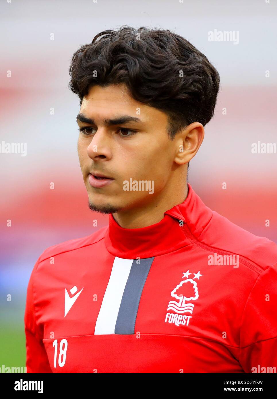 Brennan johnson forest hi-res stock photography and images - Alamy