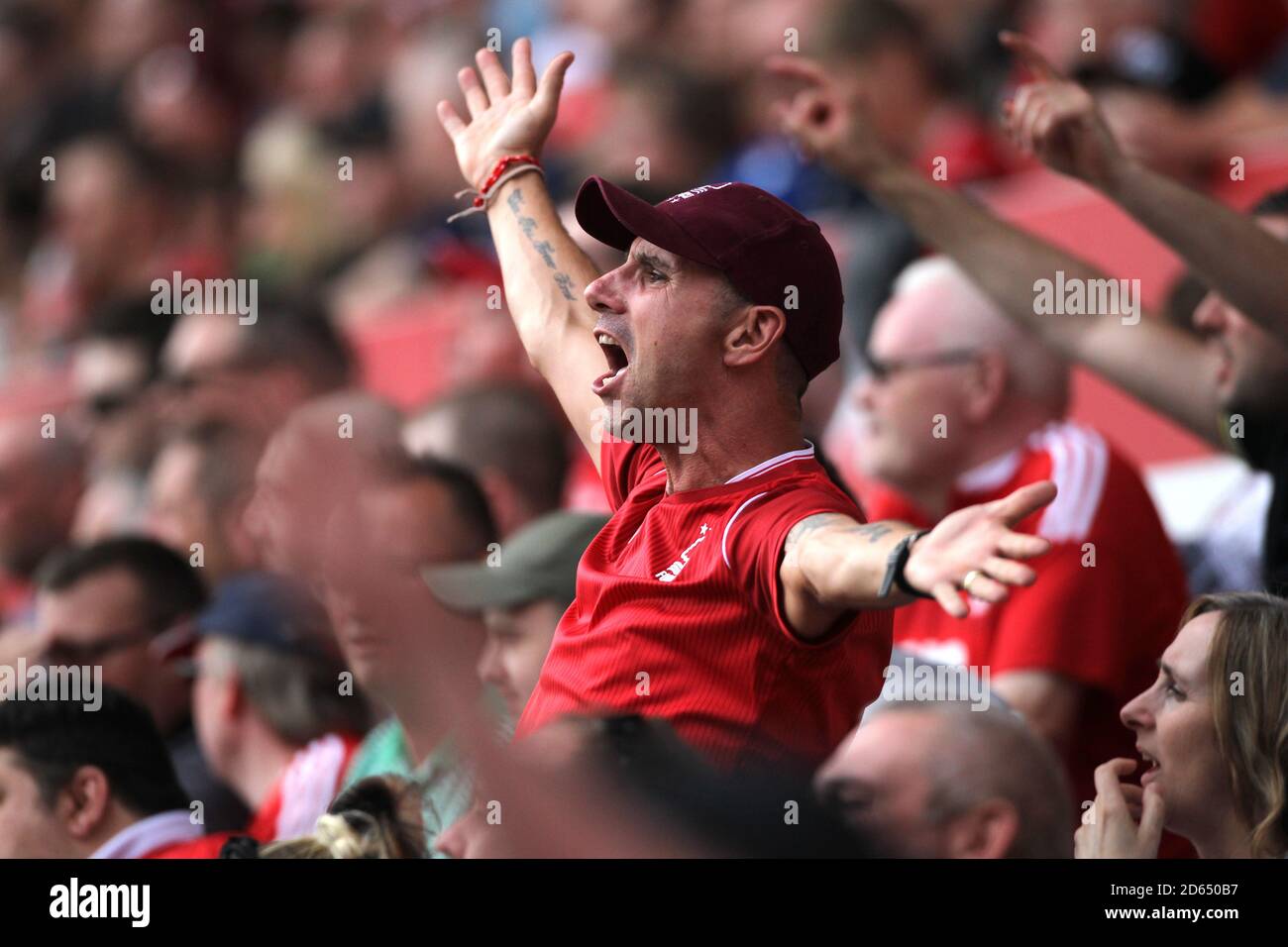 Nottingham Forest fans celebrate in the stands Stock Photo - Alamy