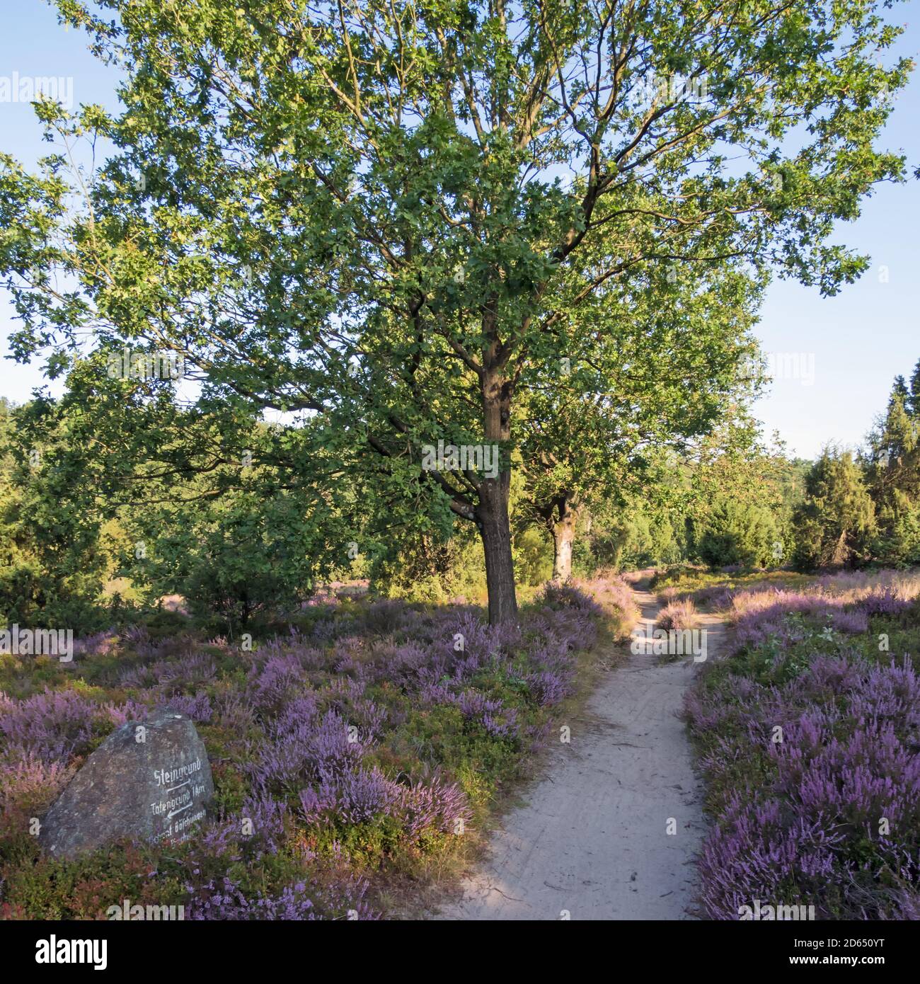 Hiking trail and sign pointing to points of interest at Lueneburg Heath ...