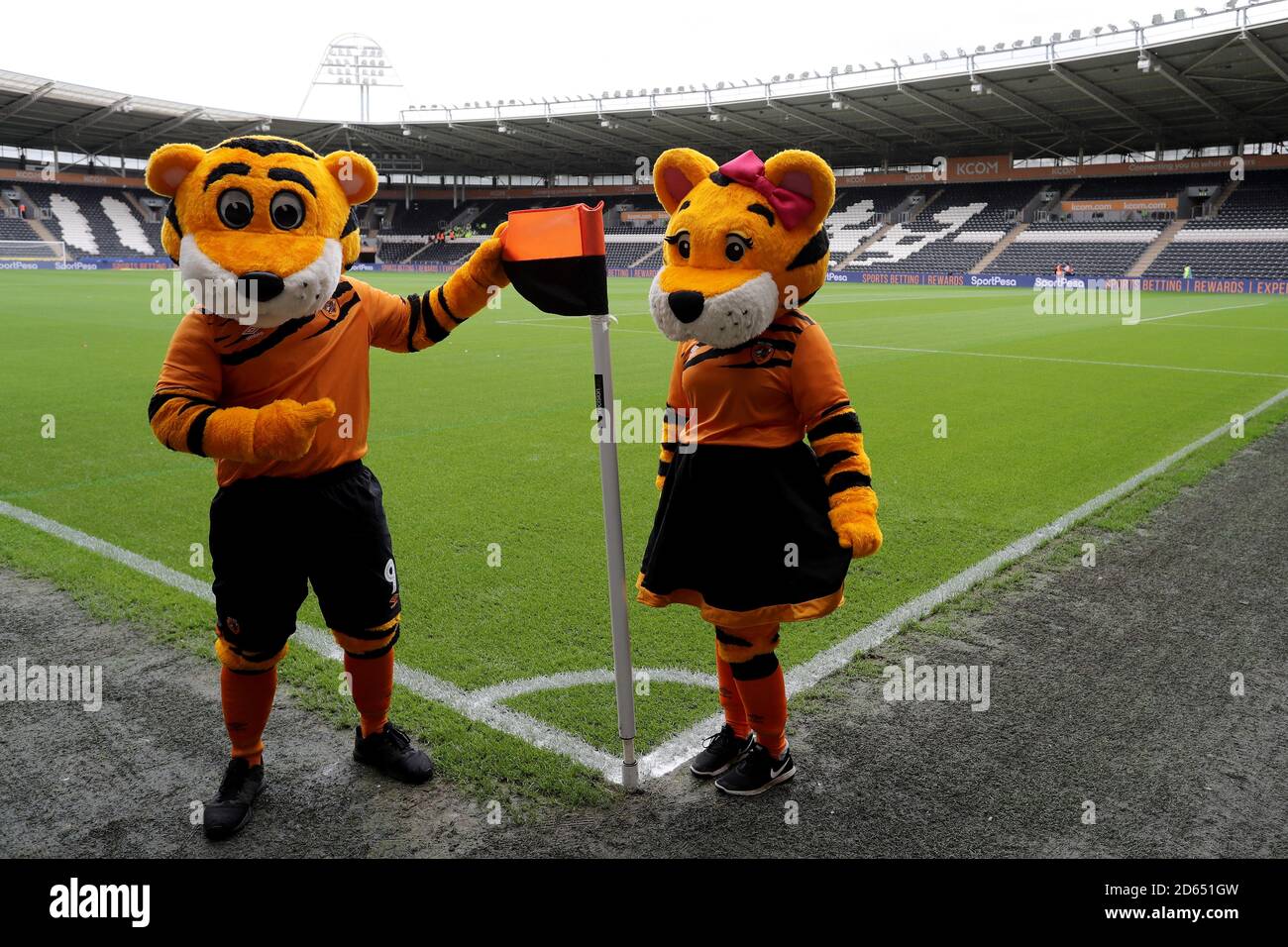 Hull City's mascots Roary and Amber at the KCOM Stadium Stock Photo - Alamy