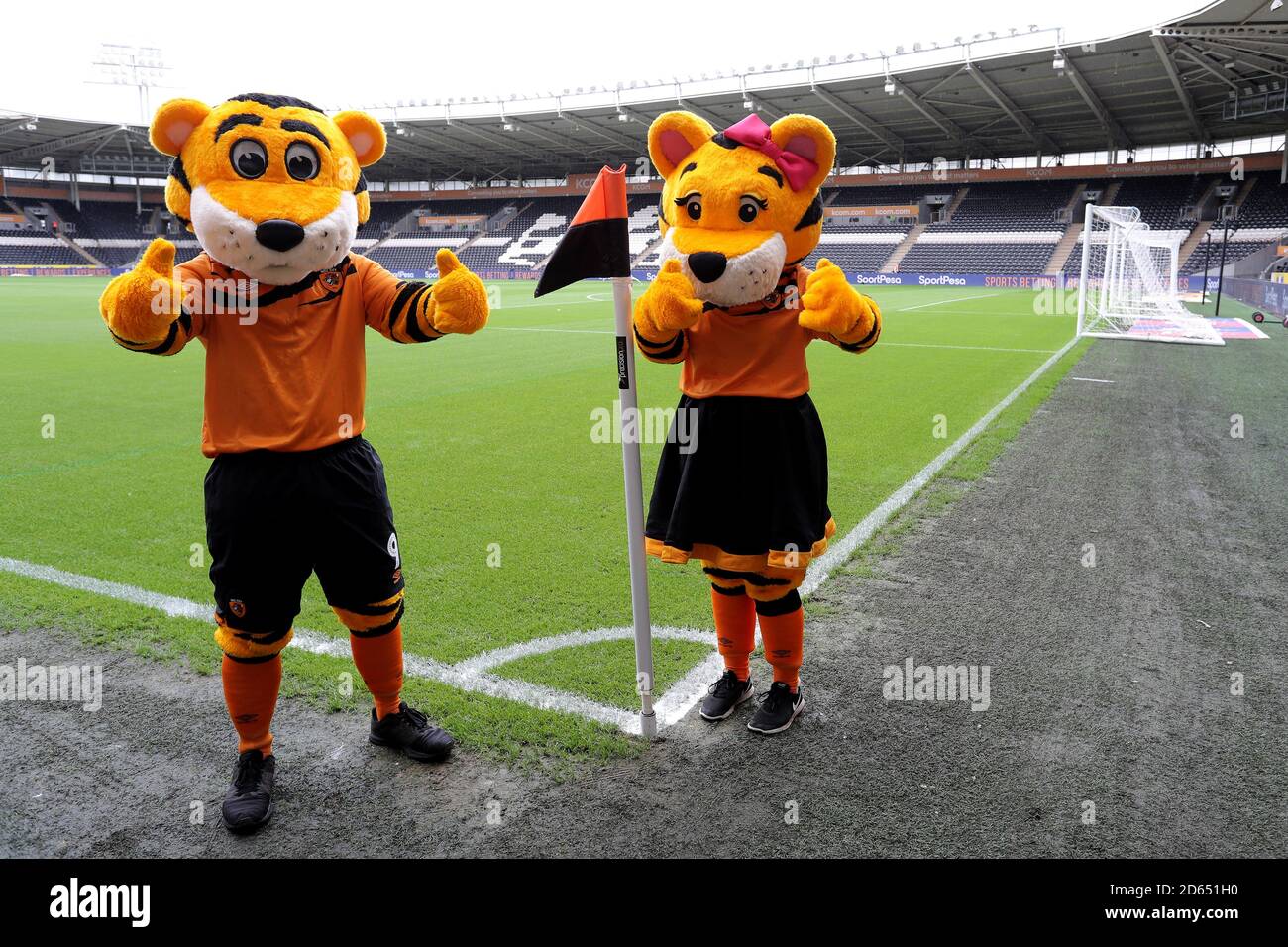 Hull City's mascots Roary and Amber at the KCOM Stadium Stock Photo - Alamy