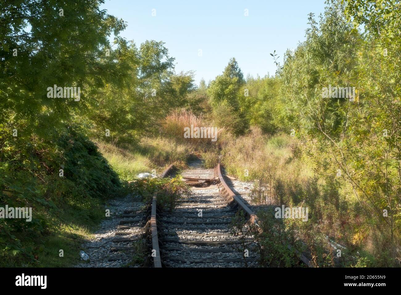 Overgrown Railway Track High Resolution Stock Photography and Images - Alamy