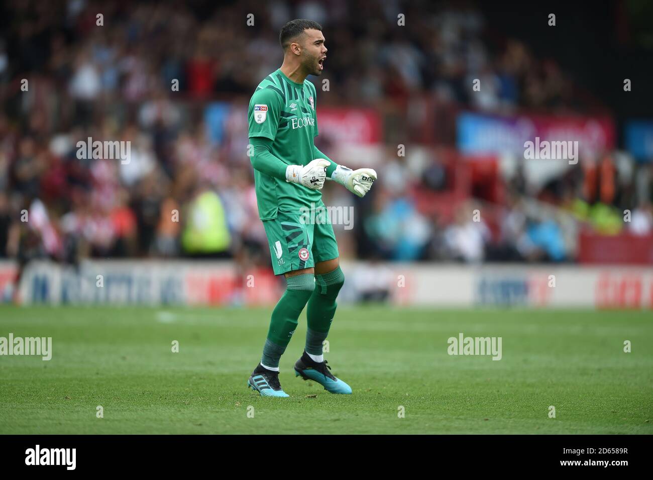 Brentford goalkeeper David Raya celebrates their third goal Stock Photo ...
