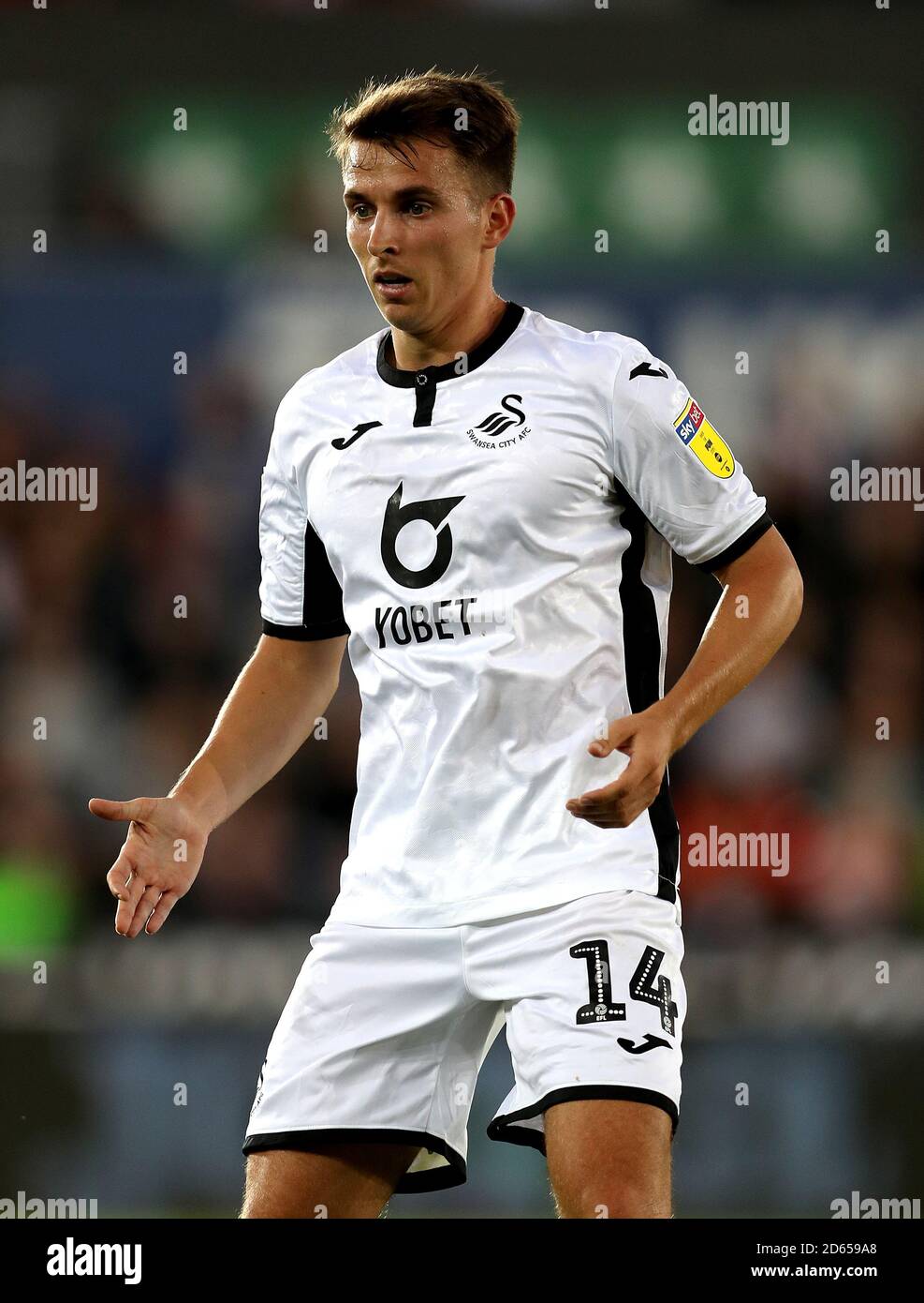 Swansea citys tom carroll hi-res stock photography and images - Alamy