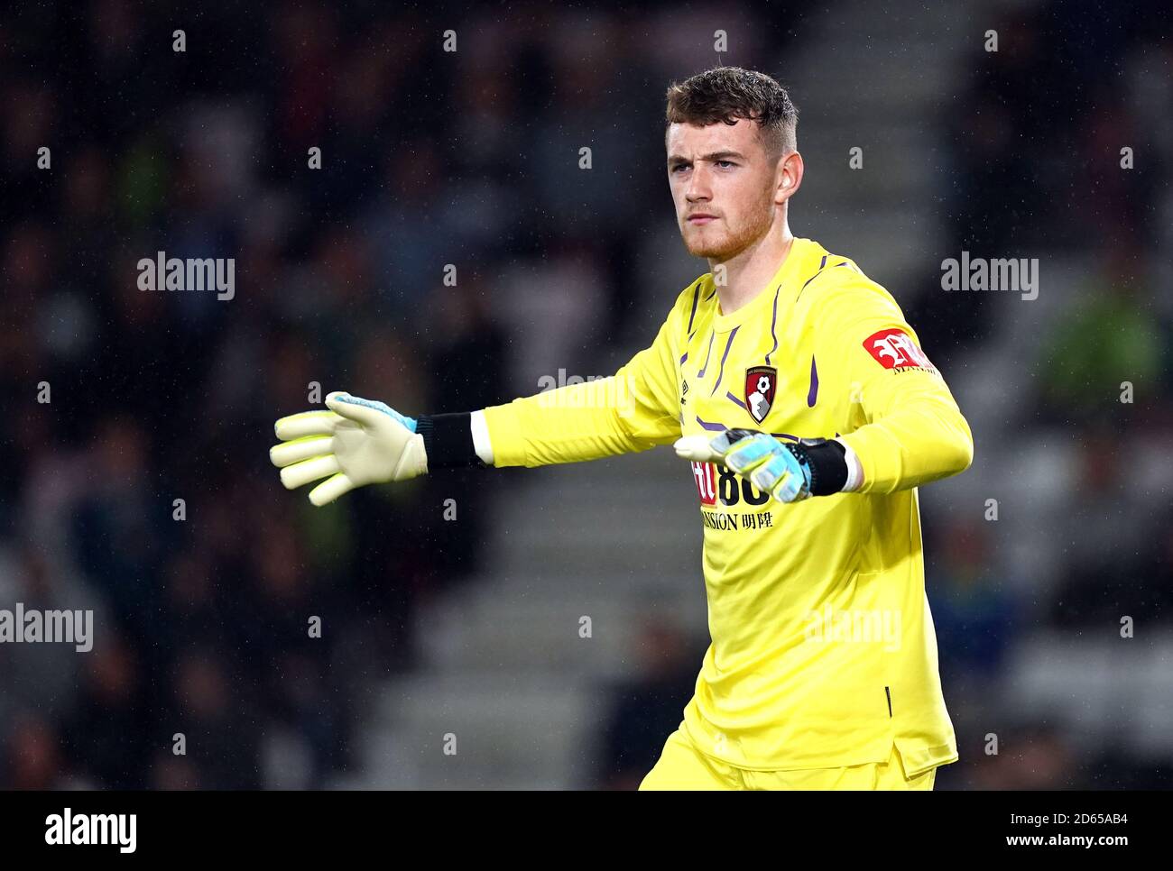 Bournemouth goalkeeper Mark Travers Stock Photo - Alamy