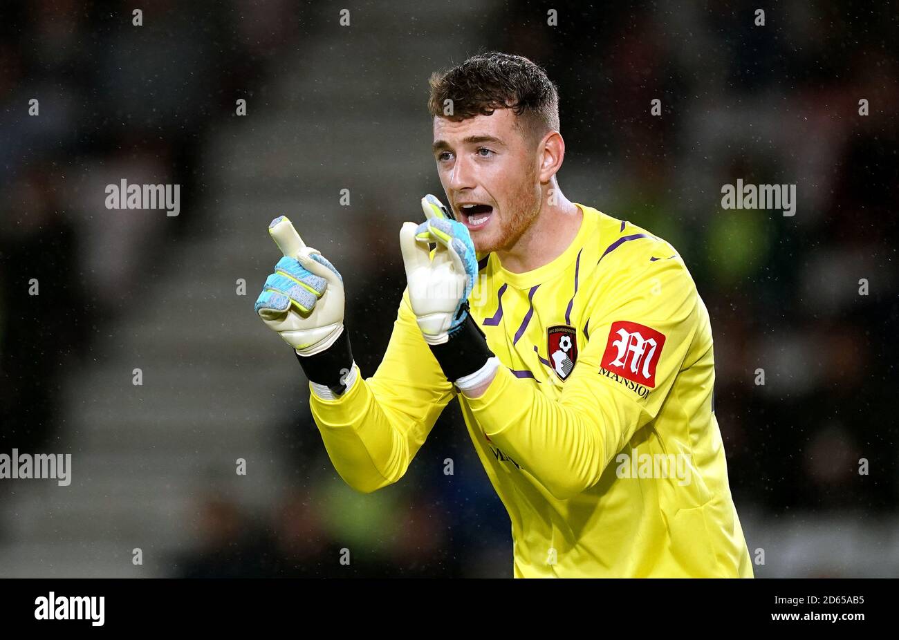 Mark travers hi-res stock photography and images - Alamy