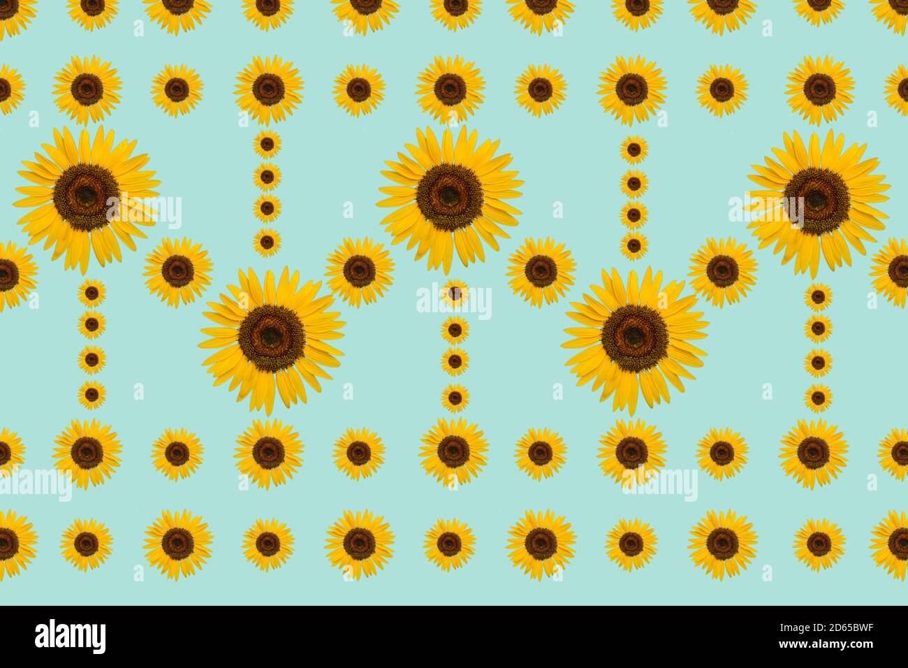 3D illustration. Symmetrical seamless pattern of sunflowers Stock Photo ...