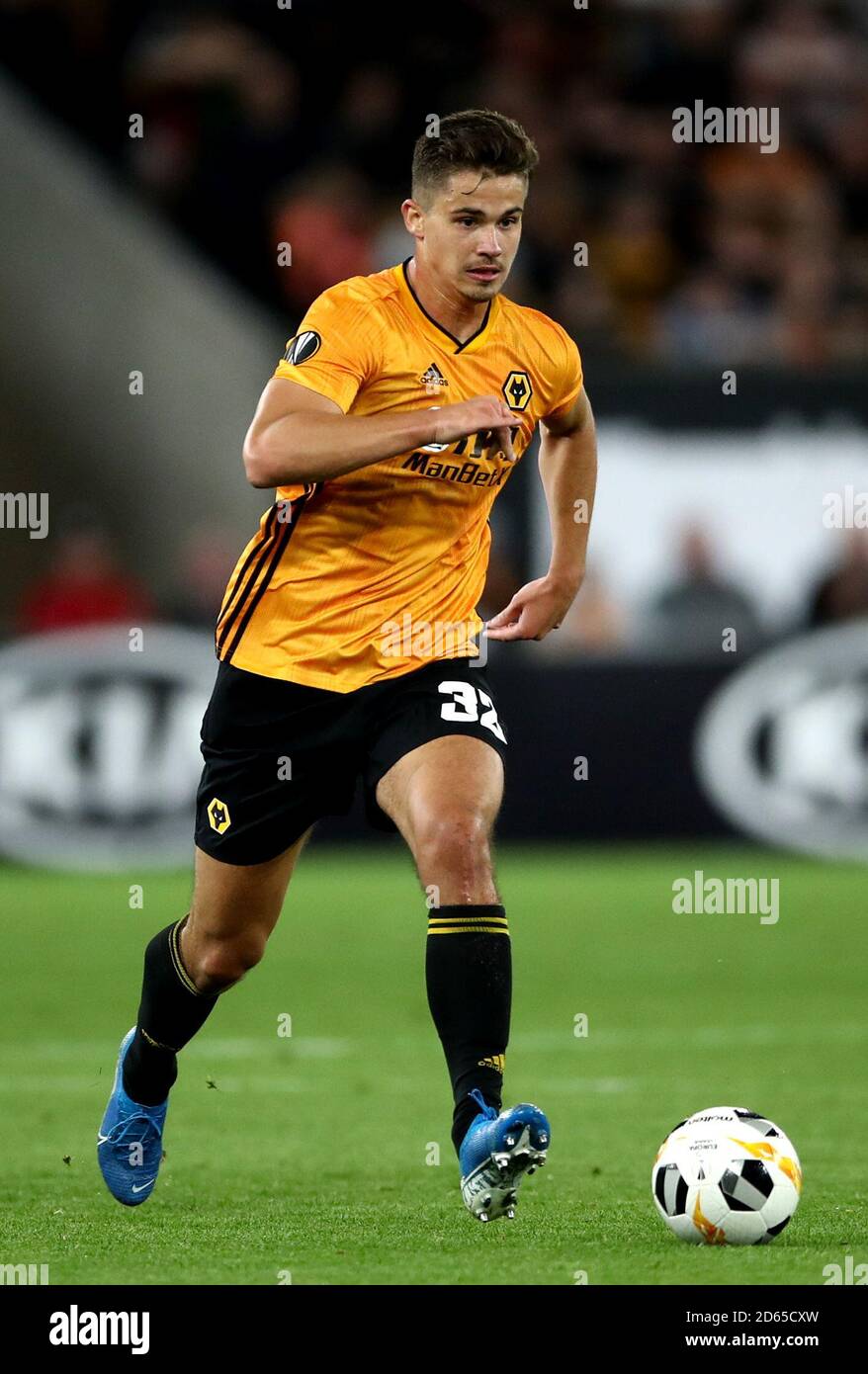 Dendoncker wolves hi-res stock photography and images - Alamy