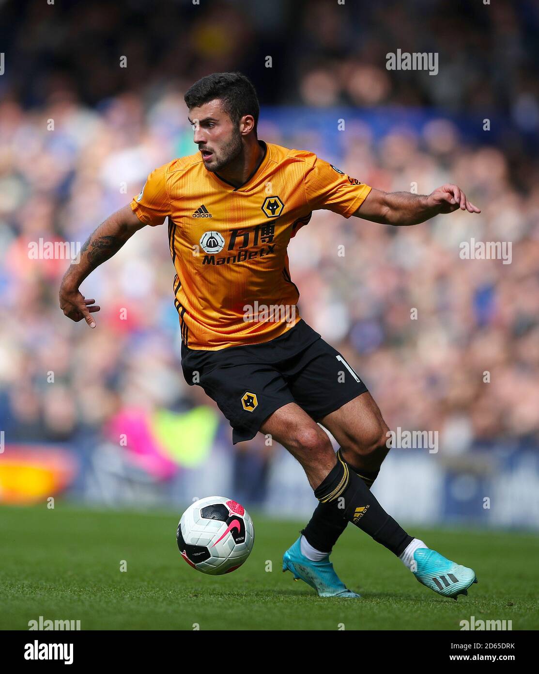 Patrick cutrone wolves hi-res stock photography and images - Alamy