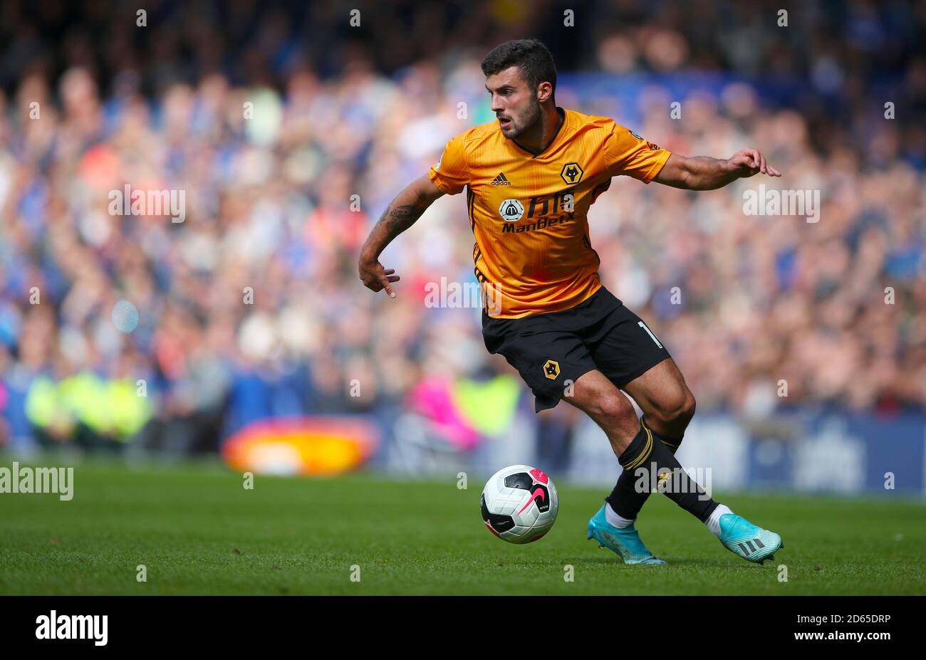 Patrick cutrone wolves hi-res stock photography and images - Alamy