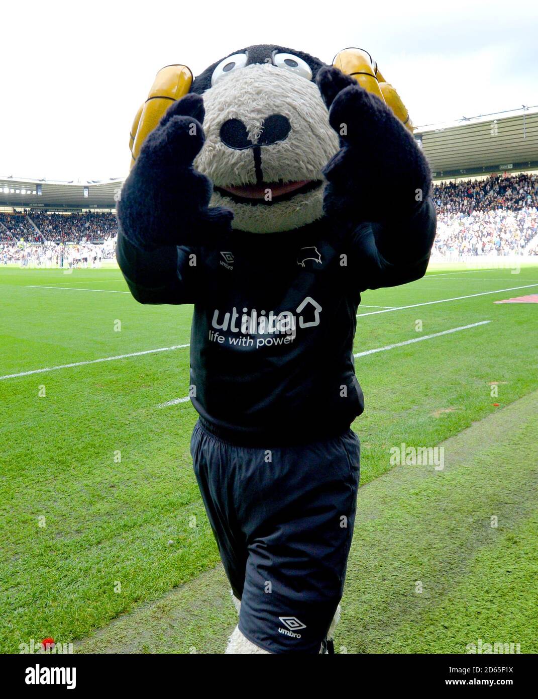 Derby County mascot Rammie The Ram on the pitch prior to the beginning ...