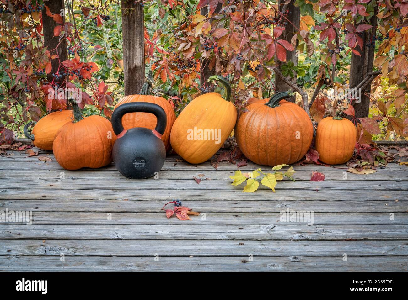Plank jack exercise hi-res stock photography and images - Alamy