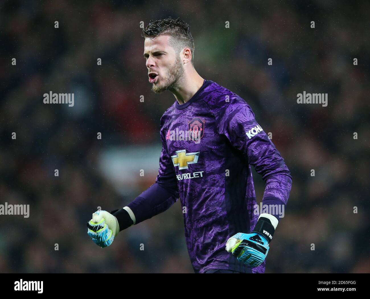 Manchester United goalkeeper David de Gea celebrates the goal against ...